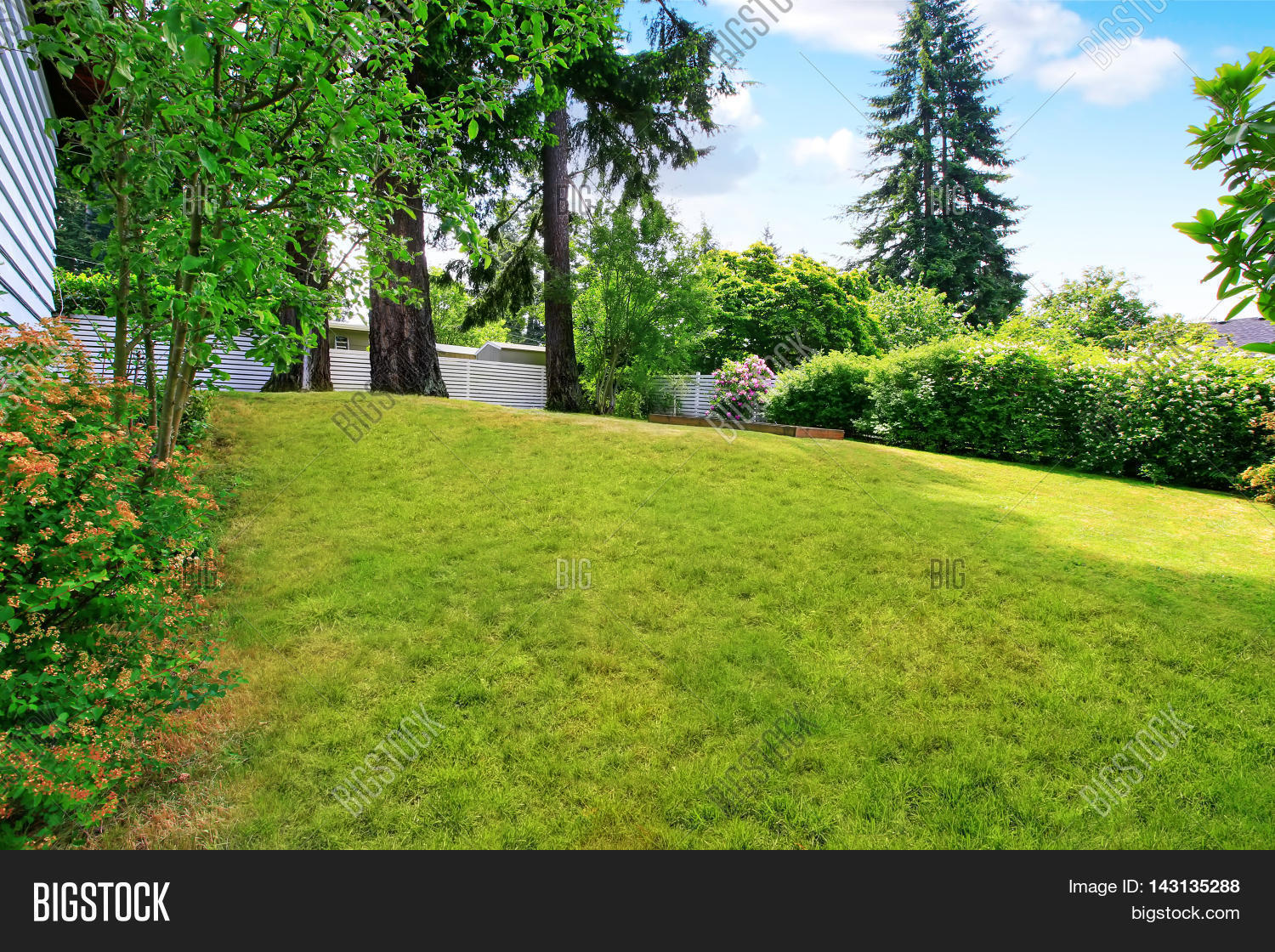 Backyard Well Kept Image & Photo (Free Trial) | Bigstock
