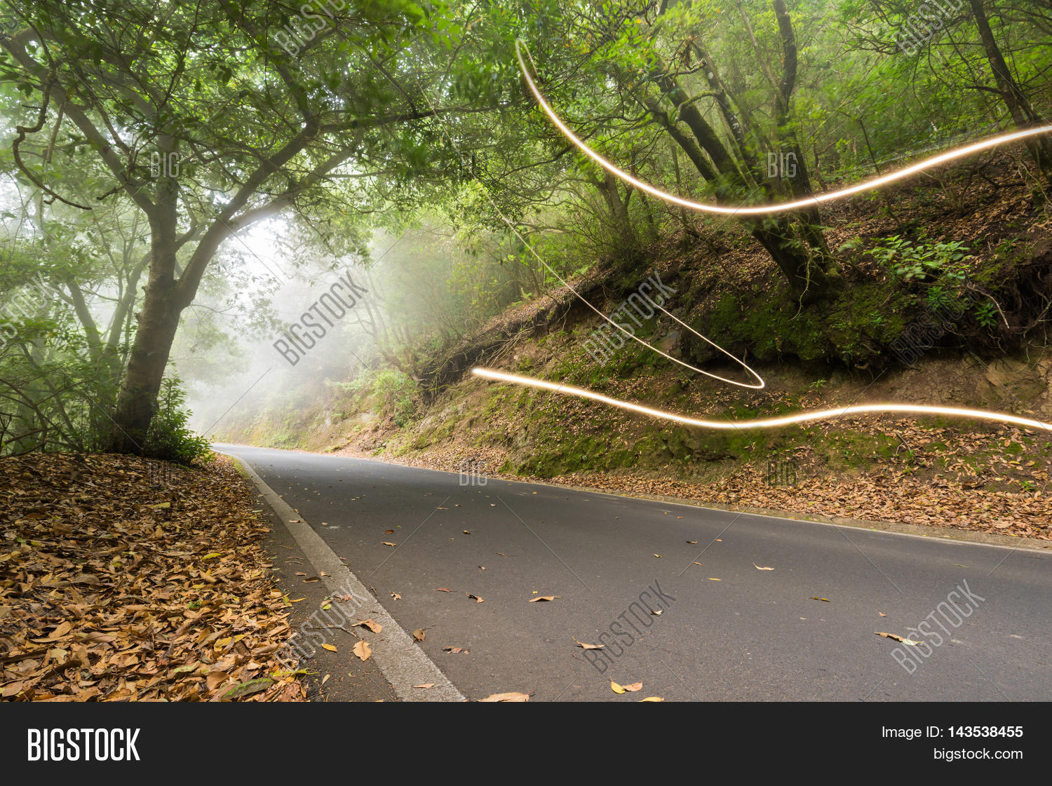 Road Magic Forest Image & Photo (Free Trial) | Bigstock