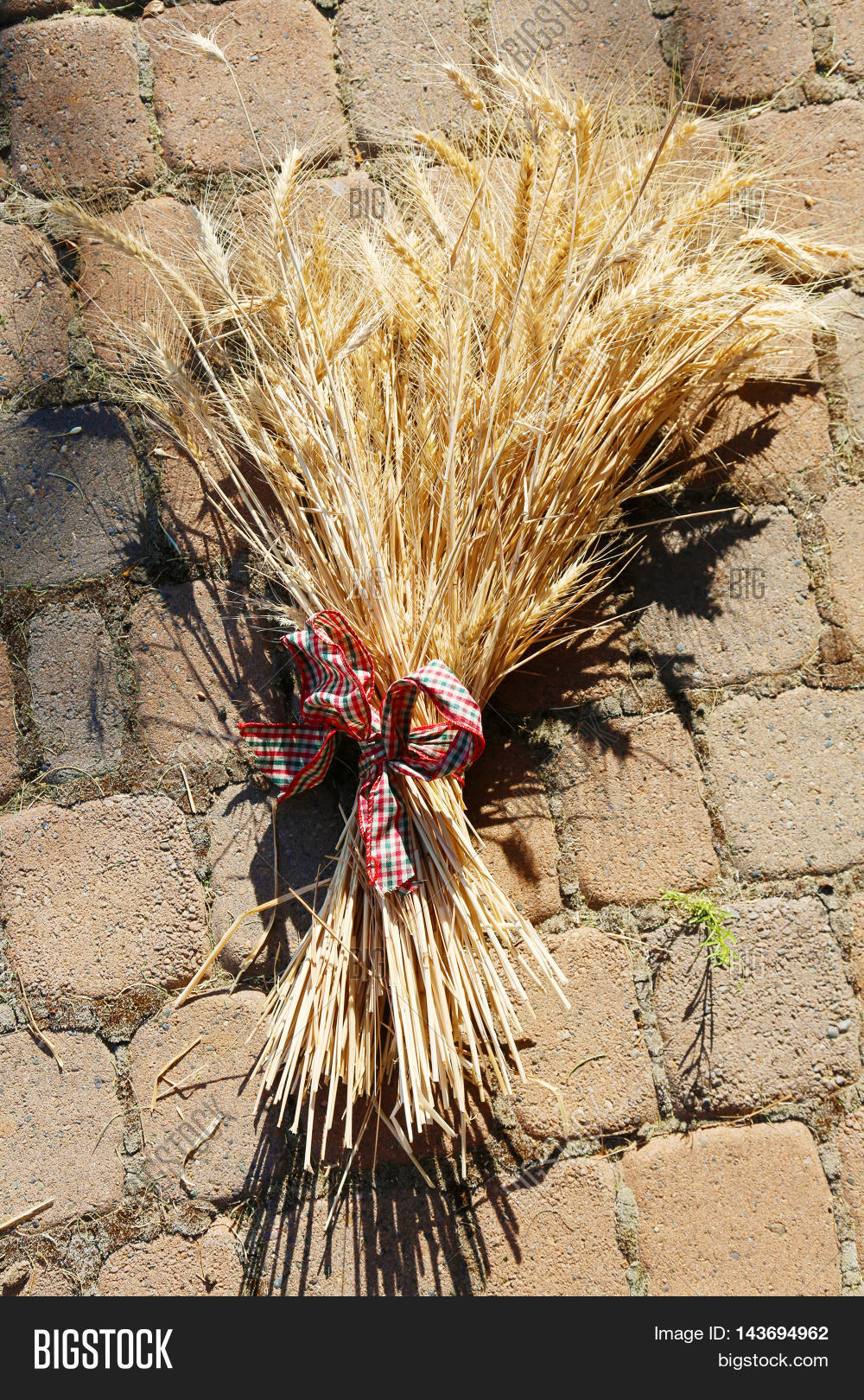 Sheaf Wheat Aka Bundle Image & Photo (Free Trial) | Bigstock