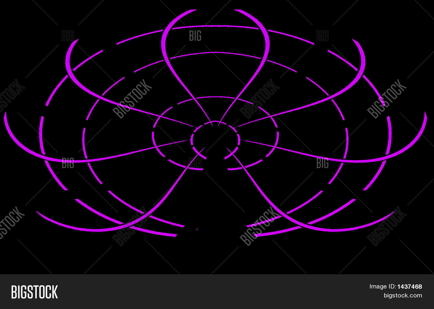 Violet Spider Image & Photo (Free Trial) | Bigstock