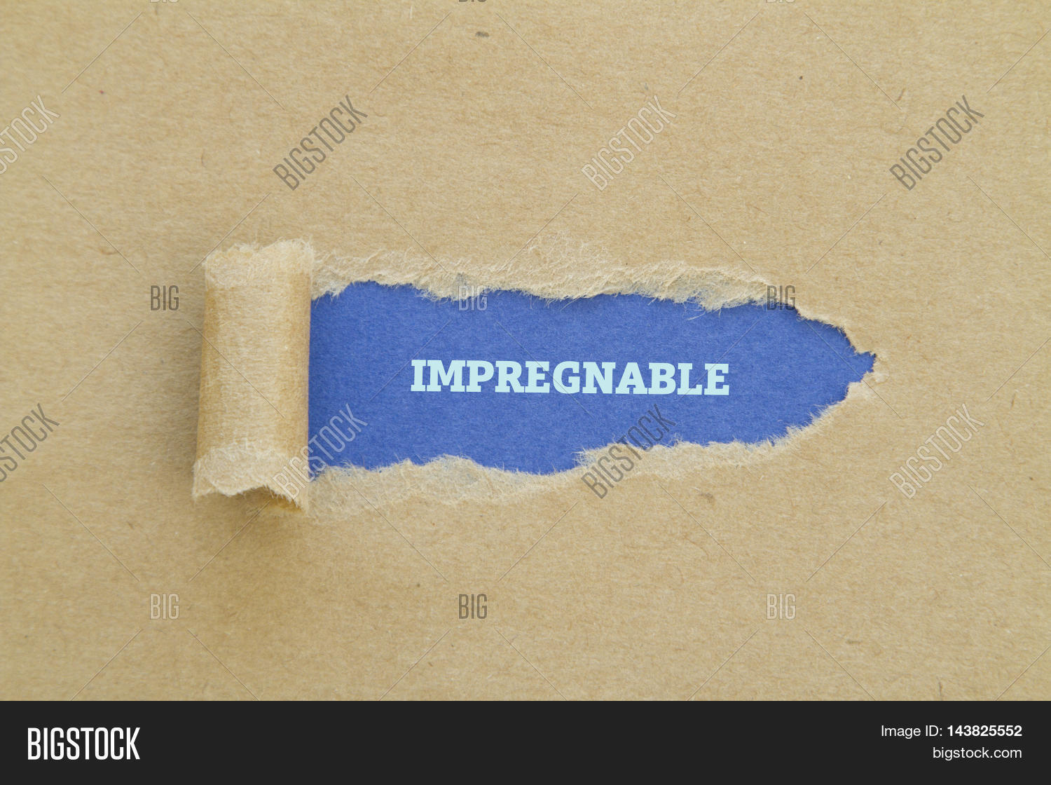 IMPREGNABLE Word Image & Photo (Free Trial) | Bigstock