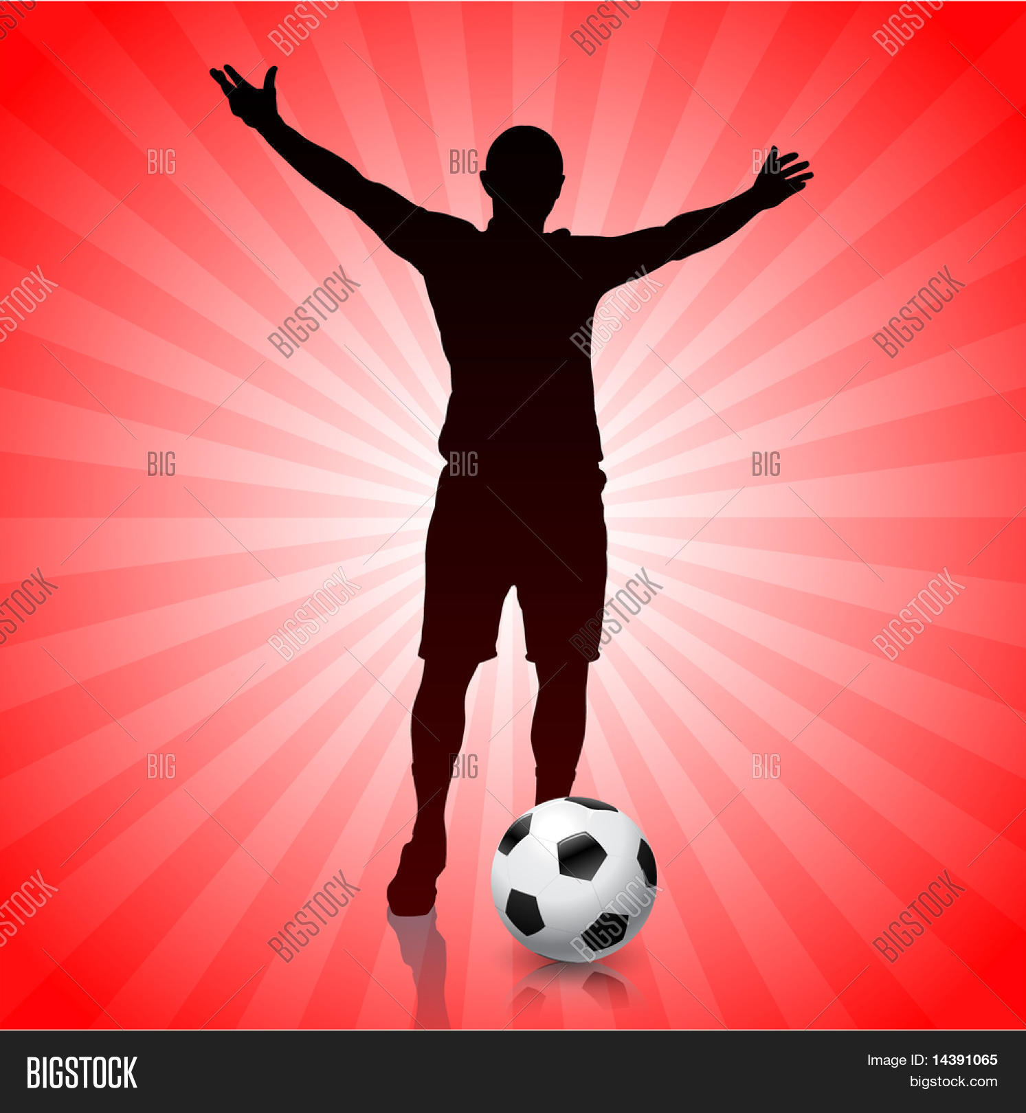 Soccer/Football Vector & Photo (Free Trial) | Bigstock