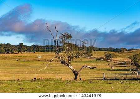 Rural Australian Image & Photo (Free Trial) | Bigstock