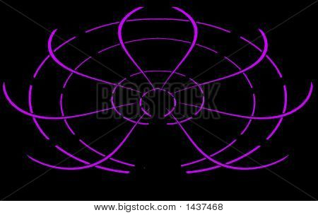 Violet Spider Image & Photo (Free Trial) | Bigstock