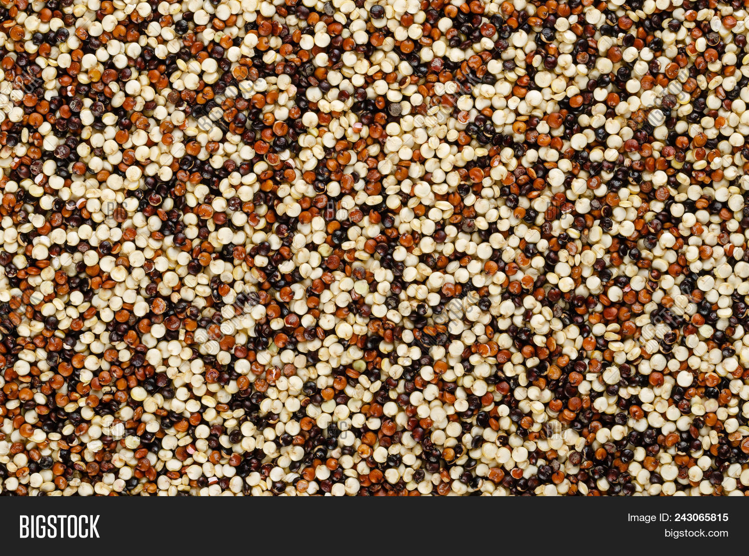 Mixed Quinoa Seeds, Image & Photo (Free Trial) | Bigstock