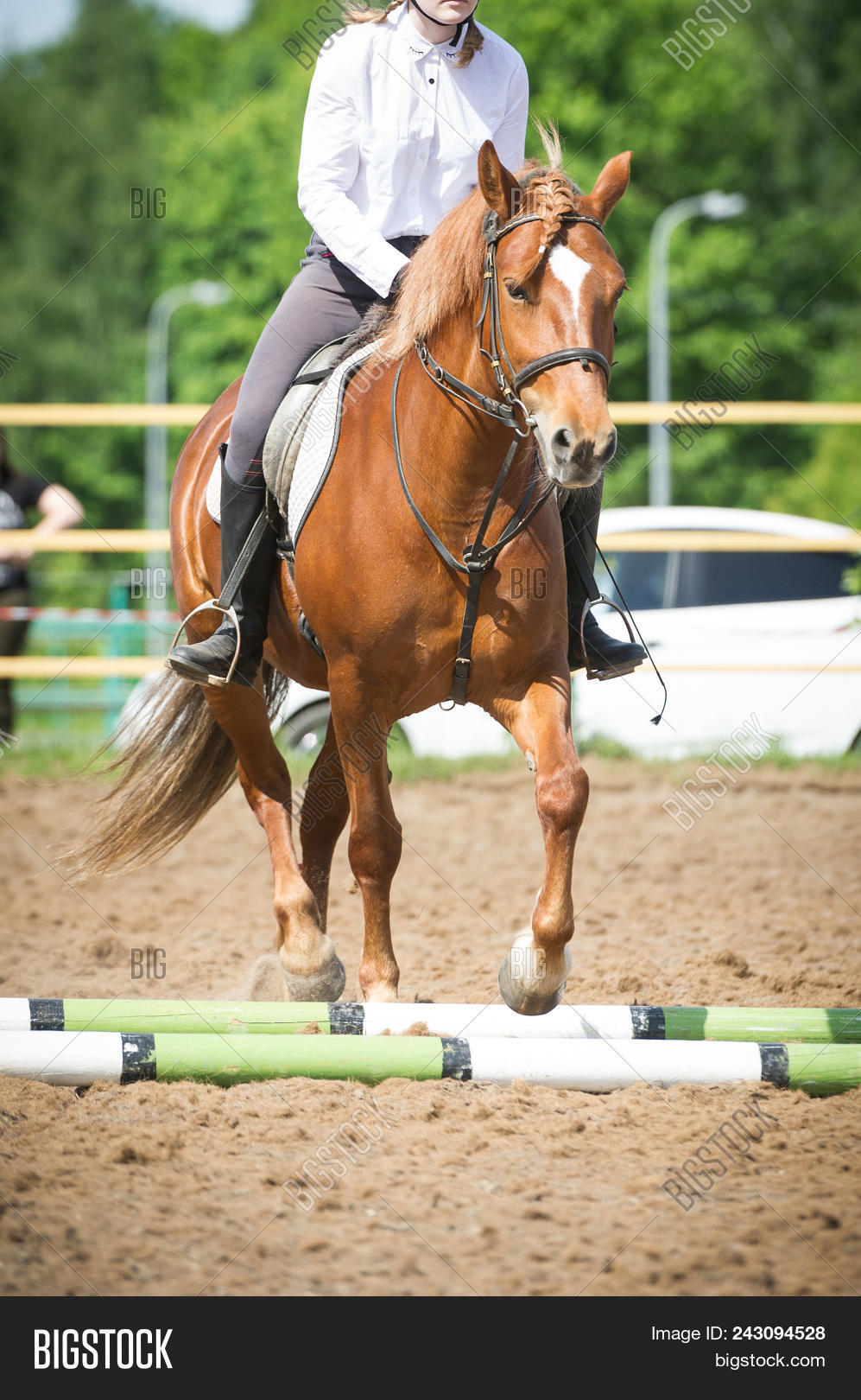 Training Horse Riding Image & Photo (Free Trial) | Bigstock