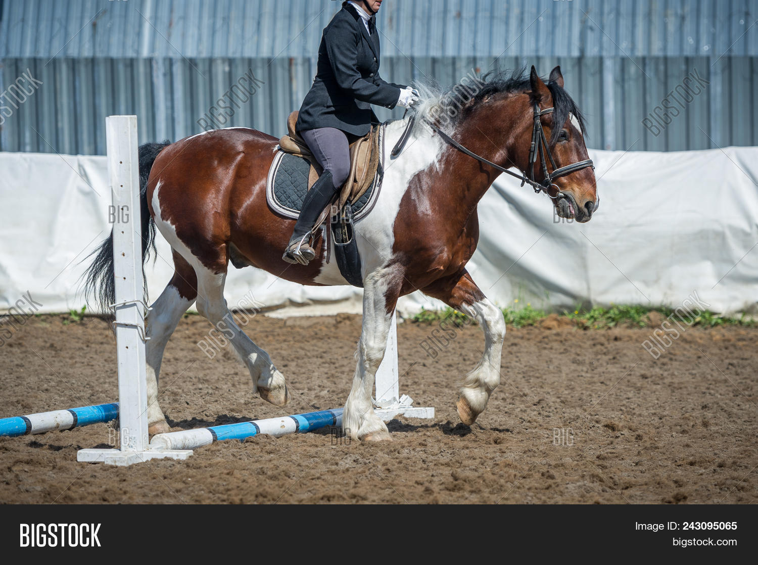 Training Horse Riding Image & Photo (Free Trial) | Bigstock