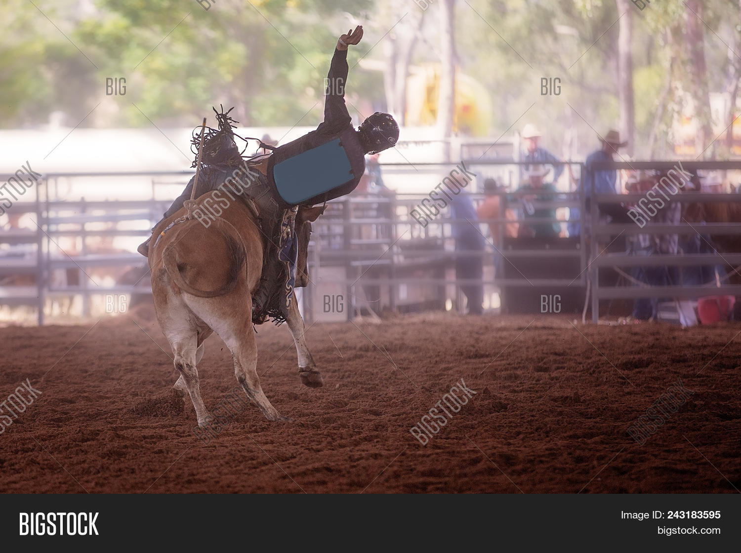Bucking Bull Cowboy Image & Photo (Free Trial) | Bigstock