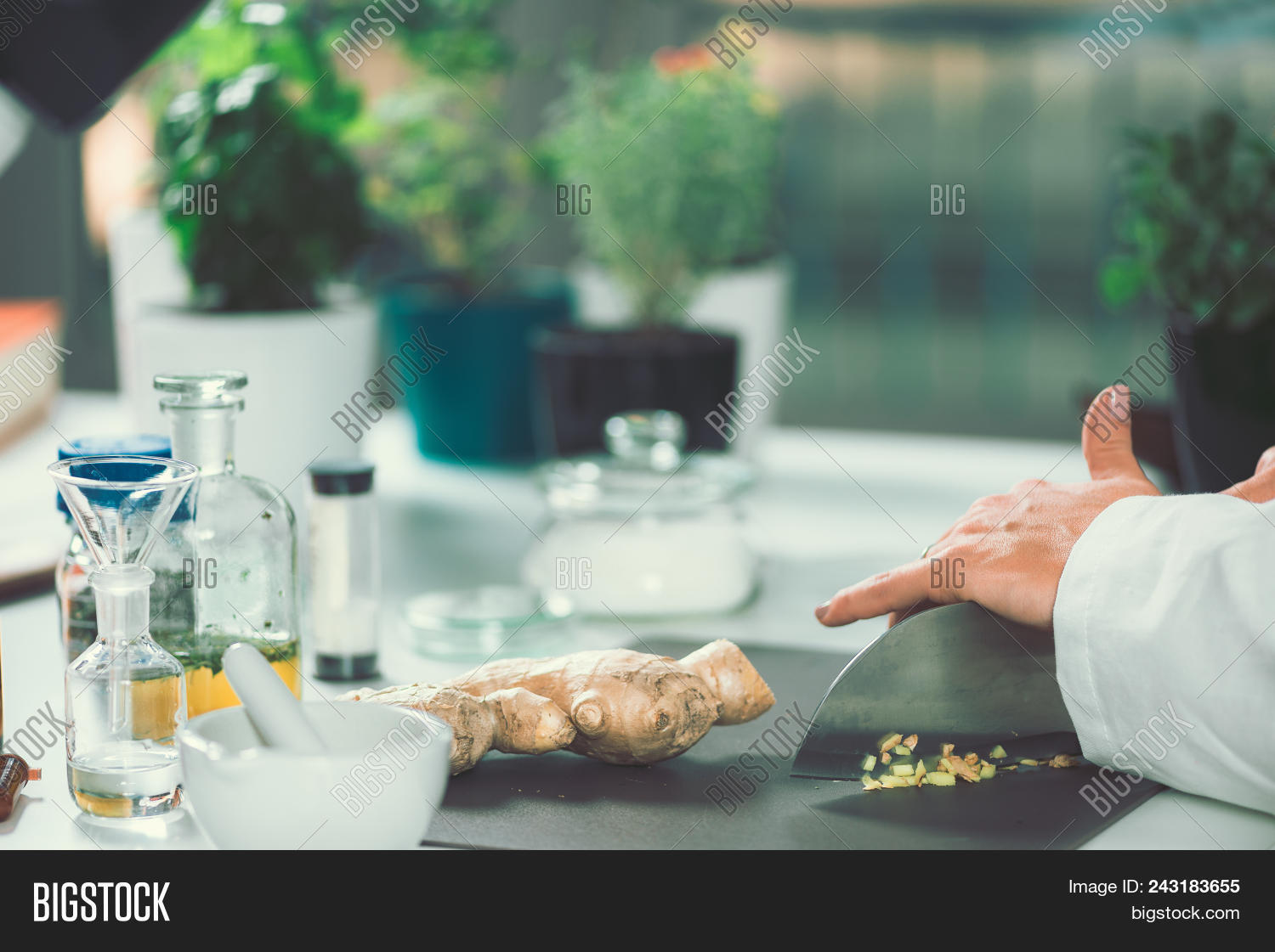 Homeopathy. Homeopath Image & Photo (Free Trial) | Bigstock