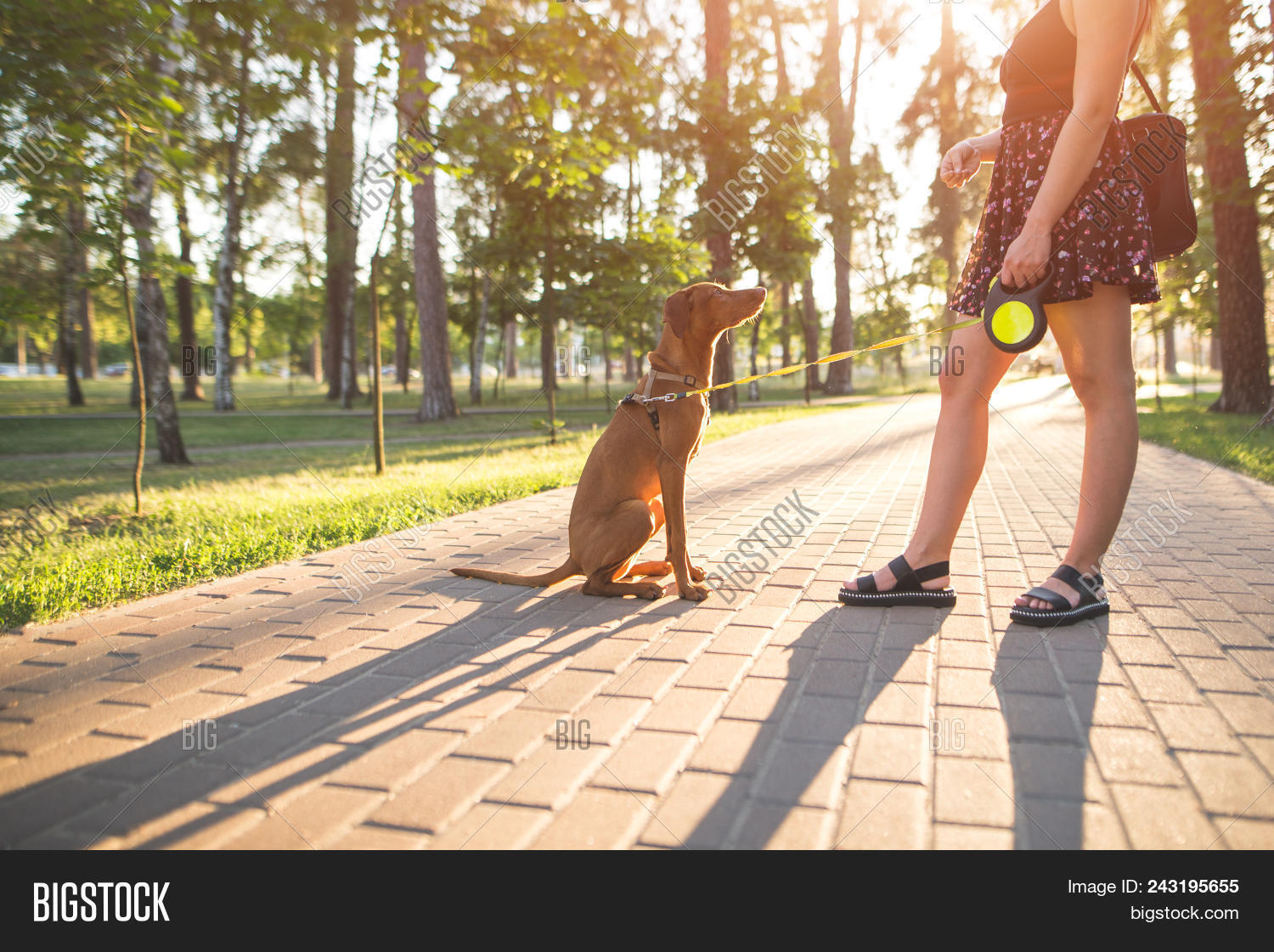 Girl Dog Play On Alley Image & Photo (Free Trial) | Bigstock