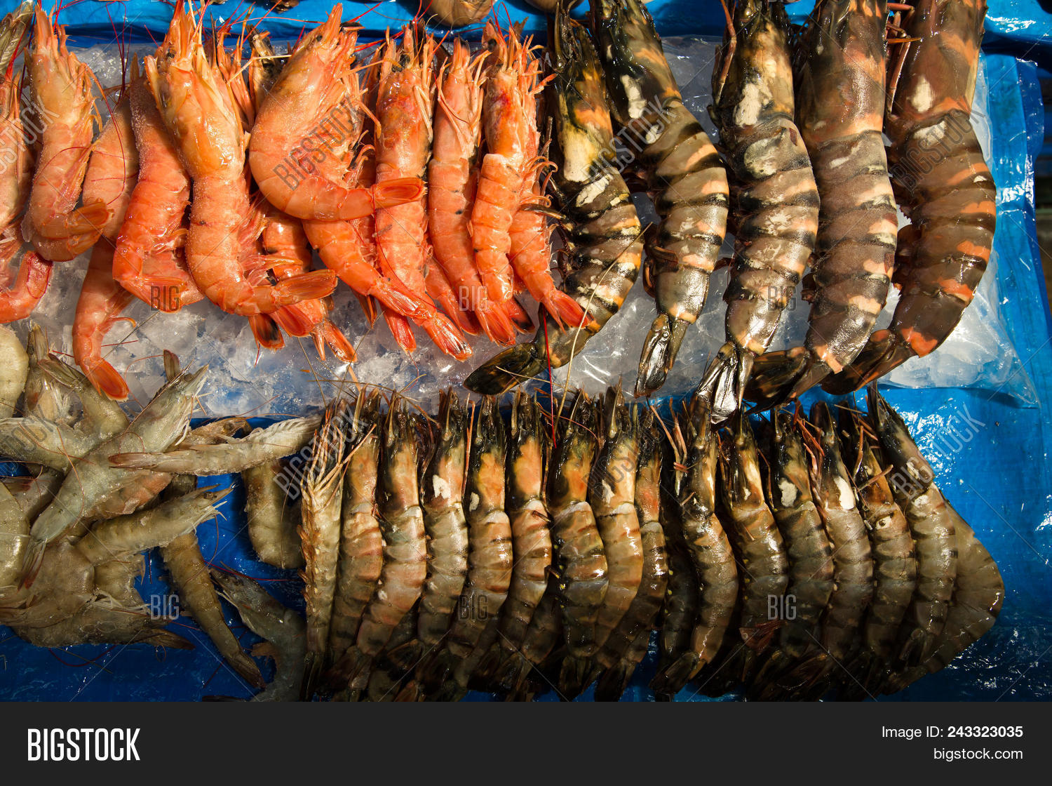Shrimp Crayfish On Image & Photo (Free Trial) | Bigstock