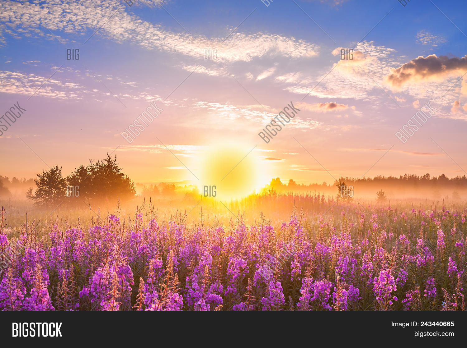 Beautiful Rural Image & Photo (Free Trial) | Bigstock