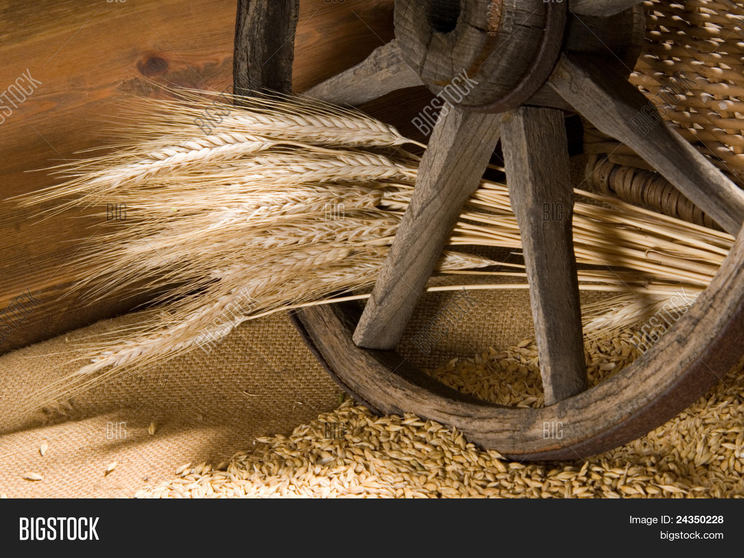 Still Life Felloe Image & Photo (Free Trial) | Bigstock