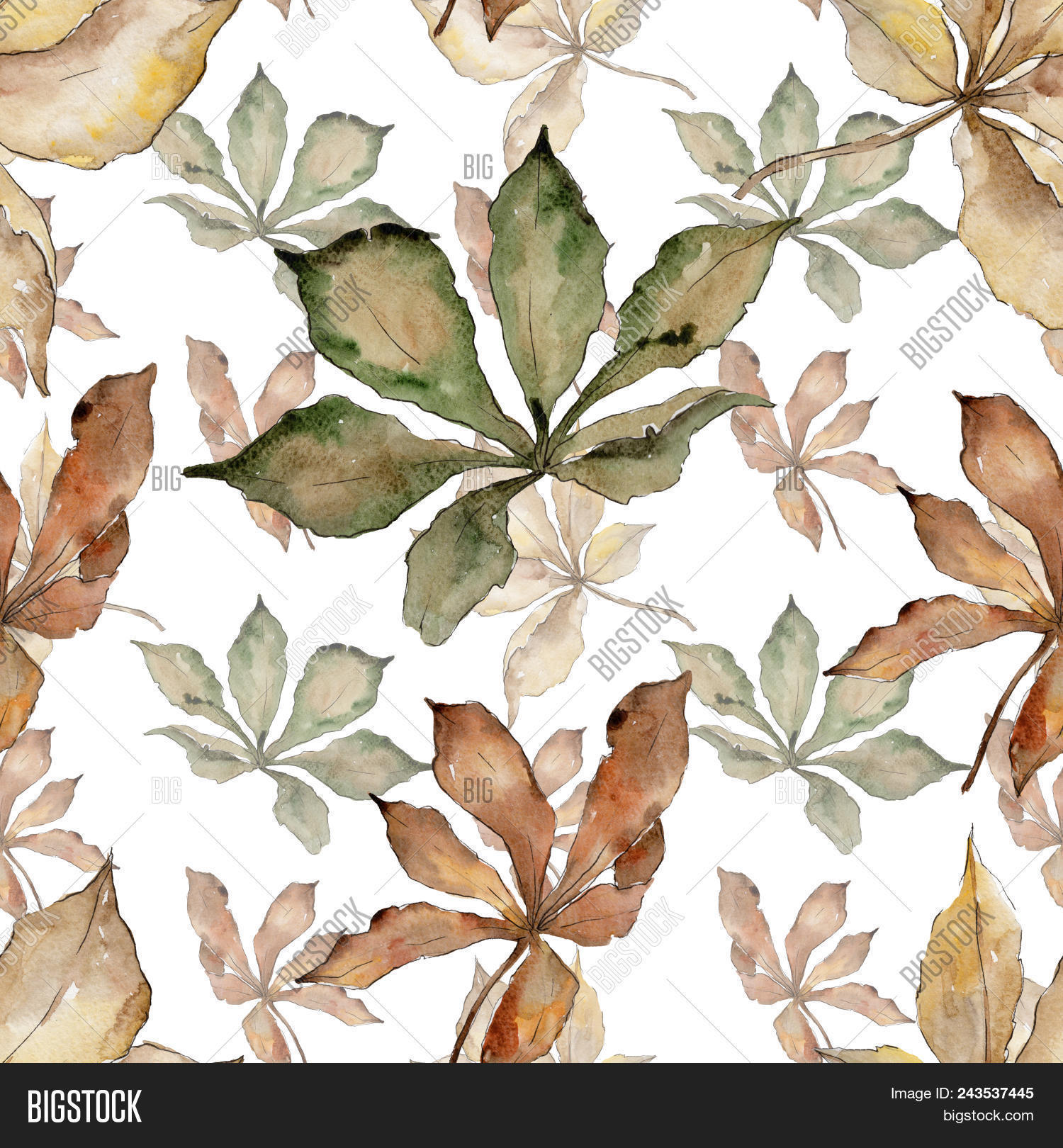 Autumn Chestnut Leaves Image & Photo (Free Trial) | Bigstock