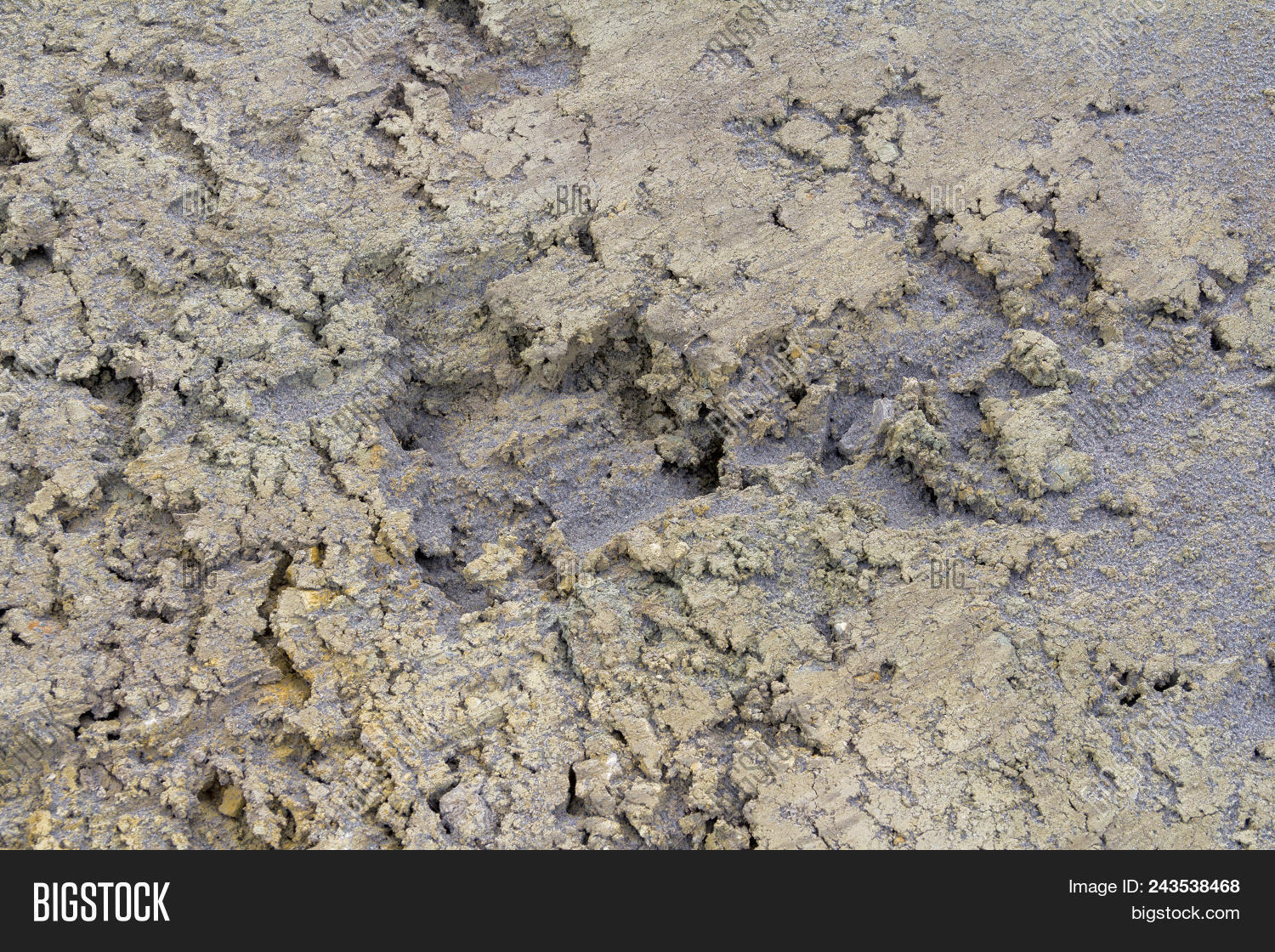 Beautiful Colored Full Image & Photo (Free Trial) | Bigstock