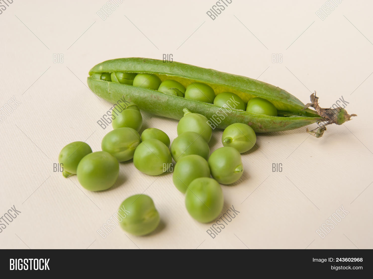 Pisum Sativum Peas One Image & Photo (Free Trial) | Bigstock