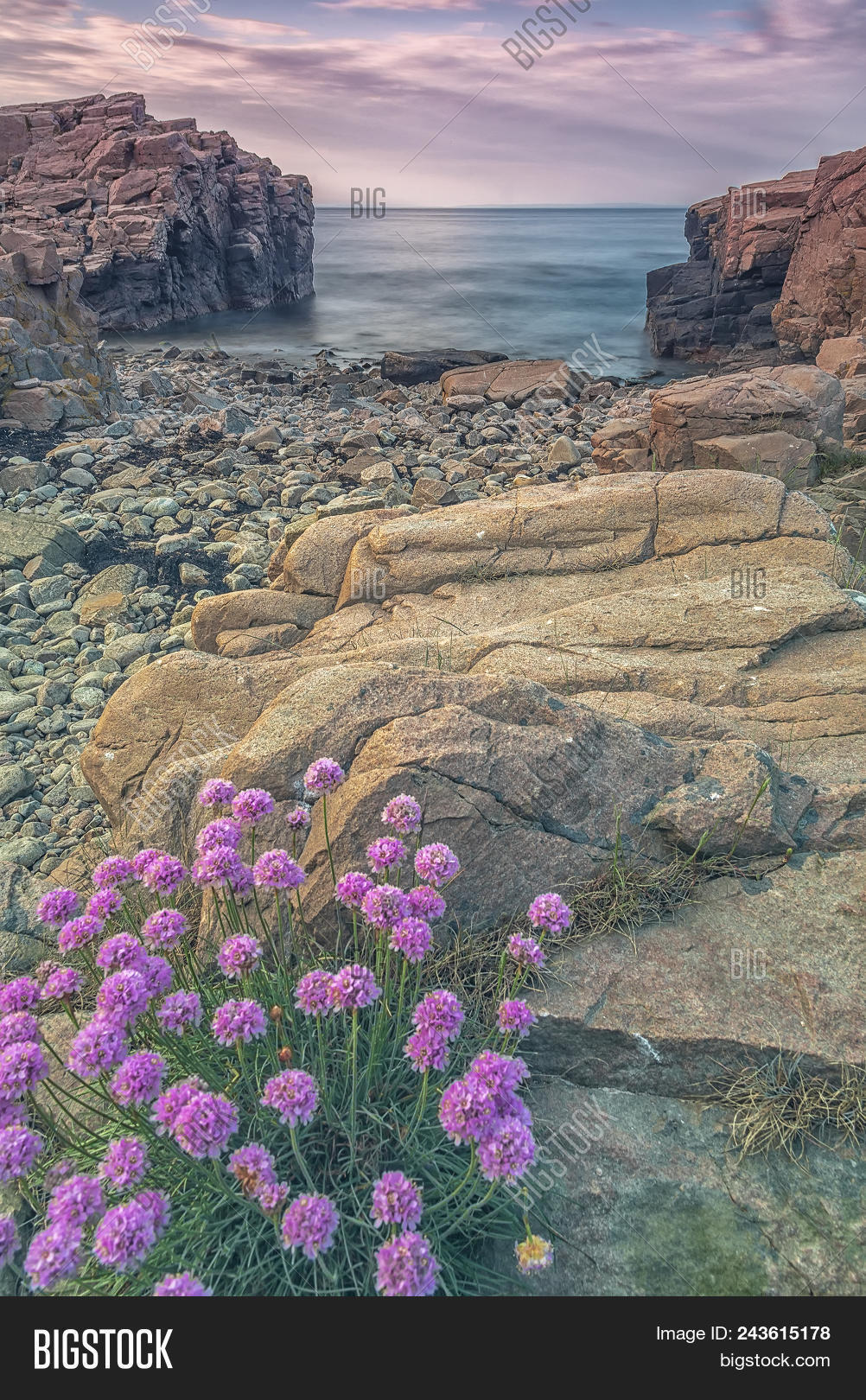Rocky Beach Landscape Image & Photo (Free Trial) | Bigstock