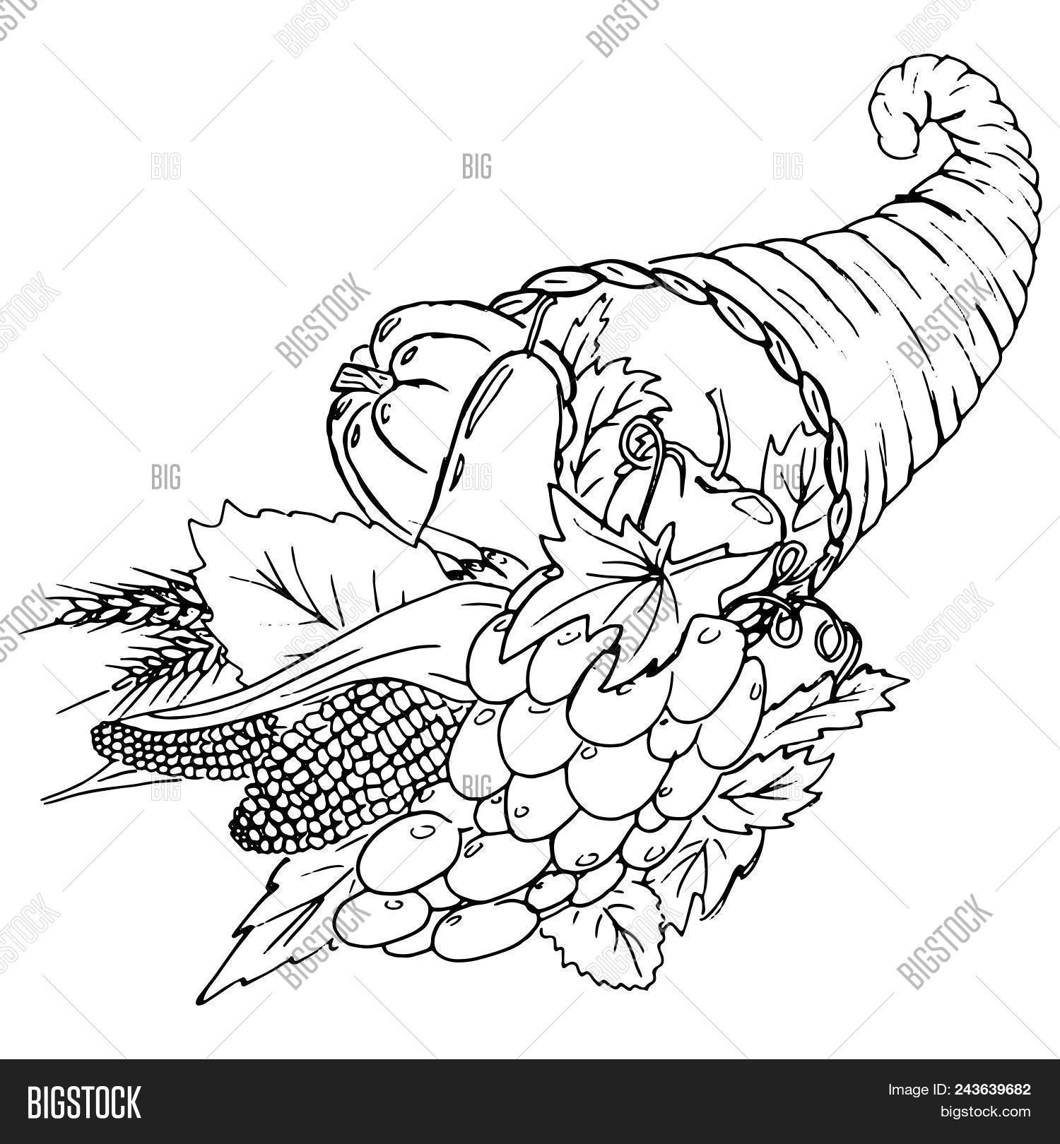 Vector Illustration Vector & Photo (Free Trial) | Bigstock