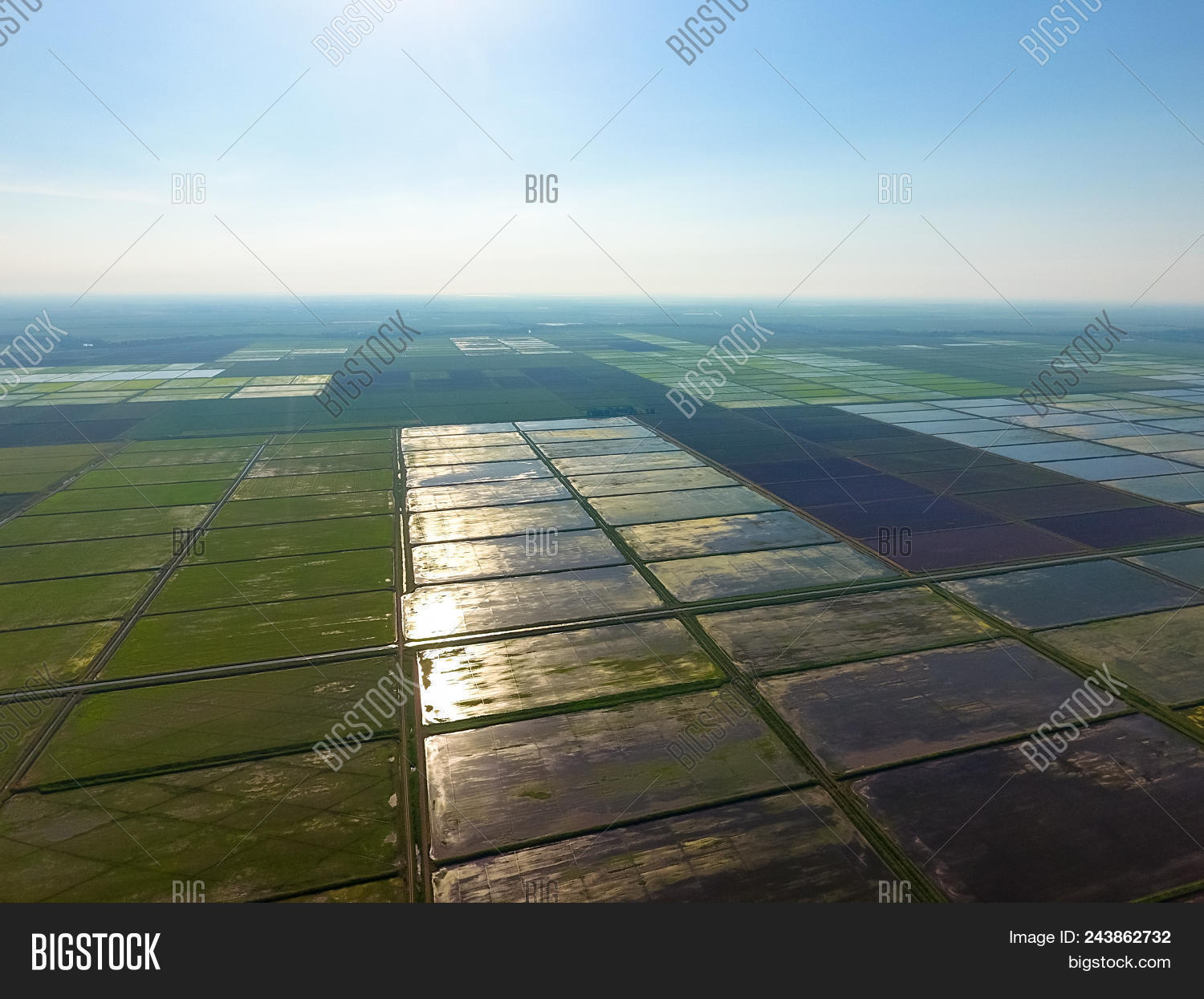Rice Fields Flooded Image & Photo (Free Trial) | Bigstock