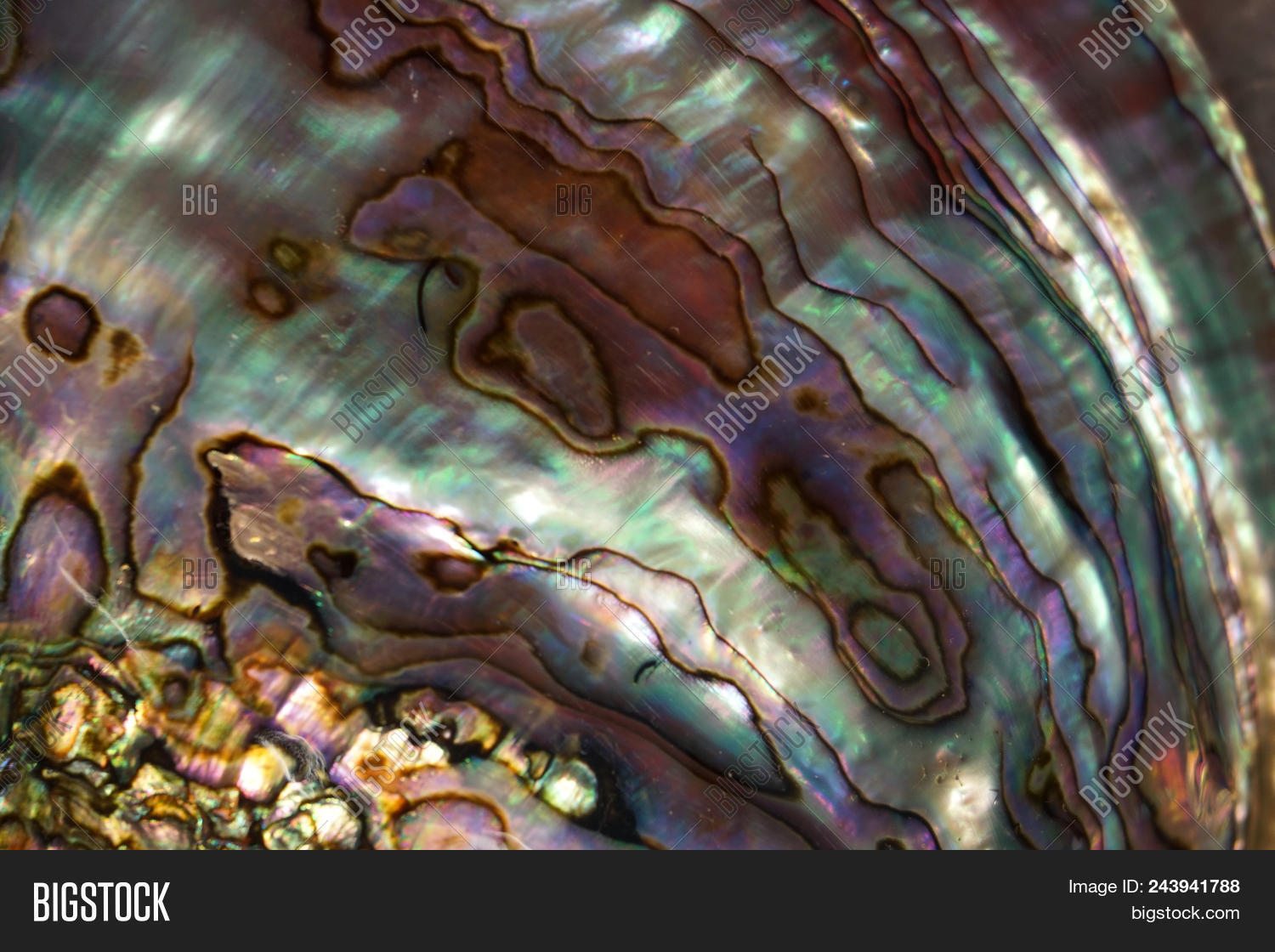 Natural Pearl Texture Image & Photo (Free Trial) | Bigstock