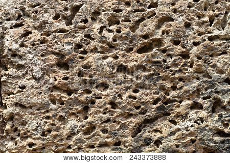 Yellow Porous Stone Image & Photo (Free Trial) | Bigstock