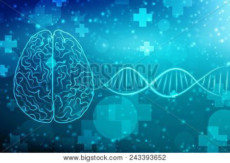 Human Brain 2d Image & Photo (Free Trial) | Bigstock