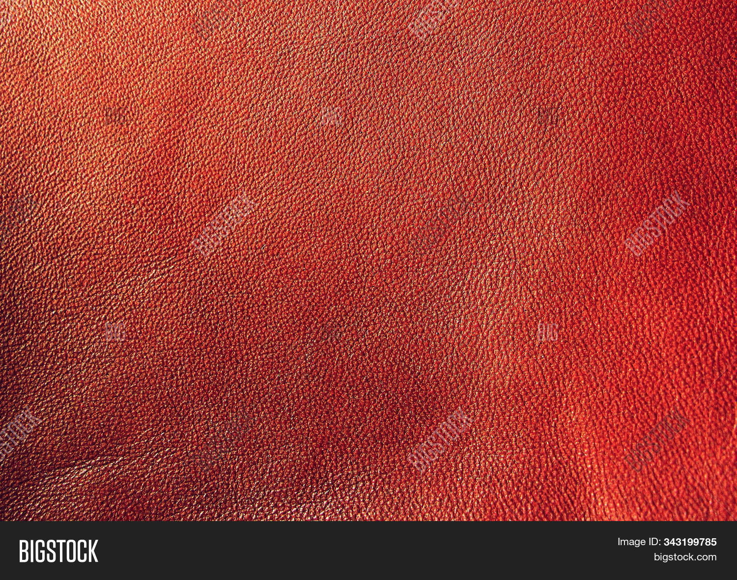 Genuine Leather. Red Image & Photo (Free Trial) | Bigstock