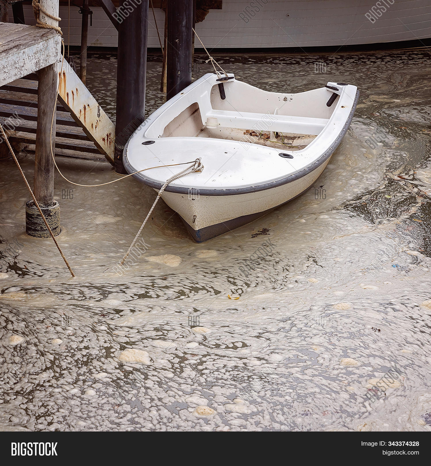 Small White Row Boat Image & Photo (Free Trial) | Bigstock