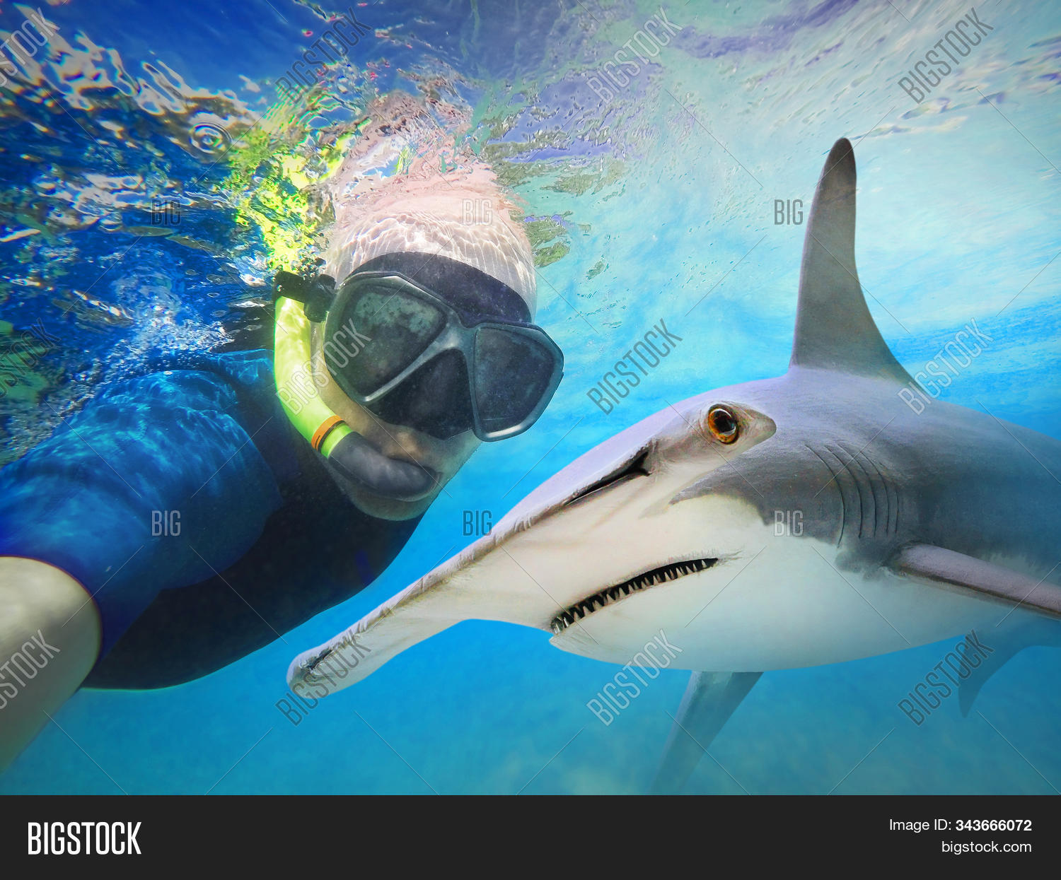 Underwater Selfie Image & Photo (Free Trial) | Bigstock