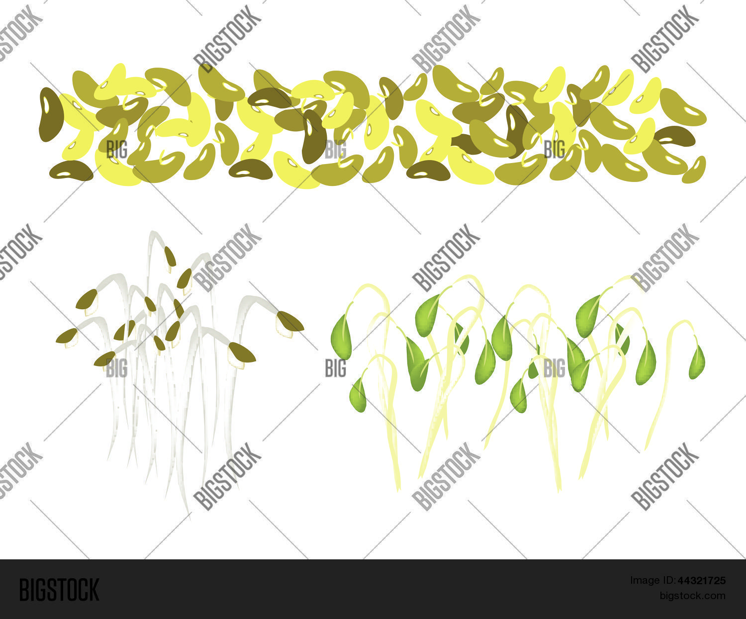 Set Mung Beans Vector & Photo (Free Trial) | Bigstock