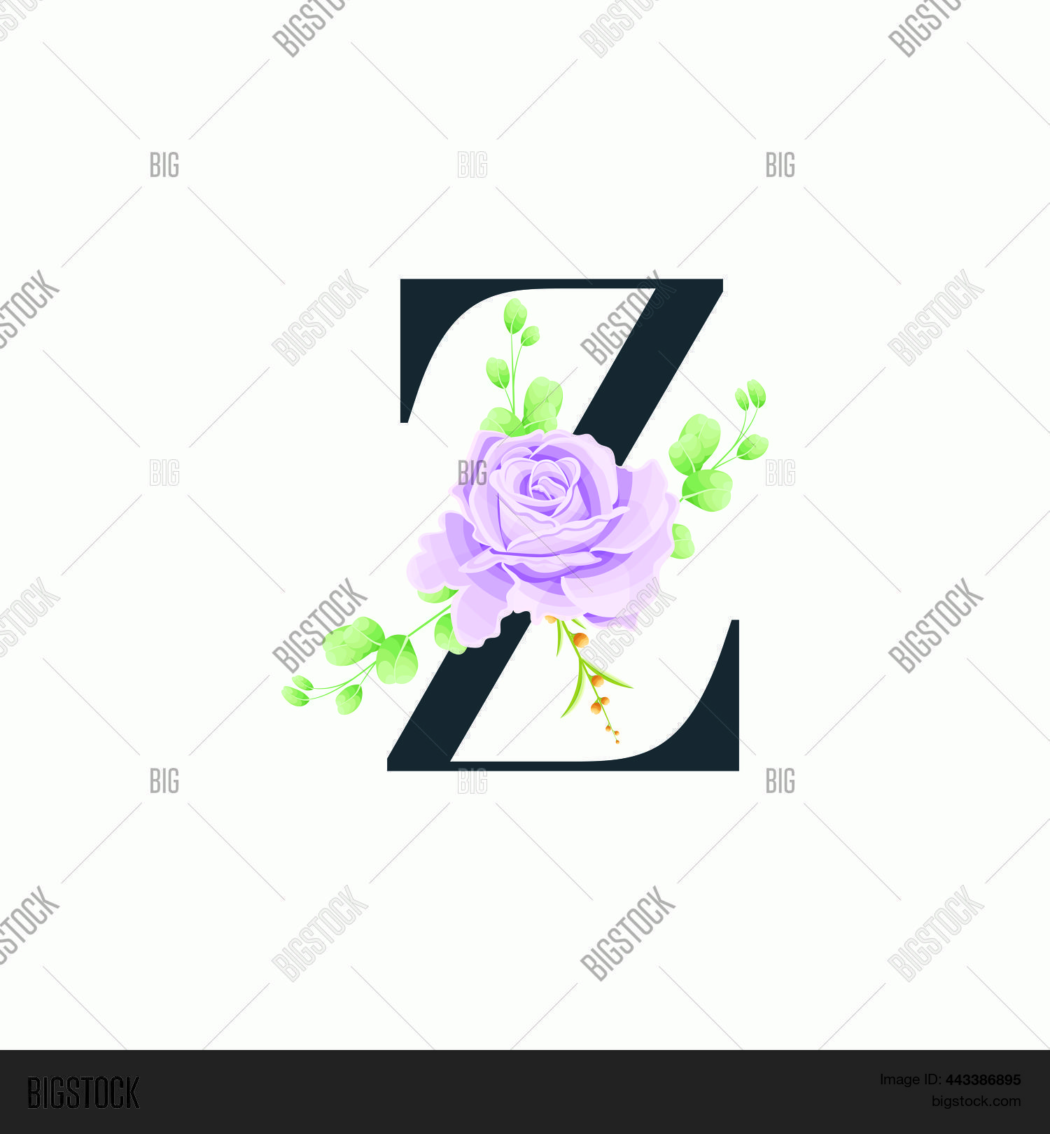 Beautiful Z Alphabet Vector & Photo (Free Trial) | Bigstock