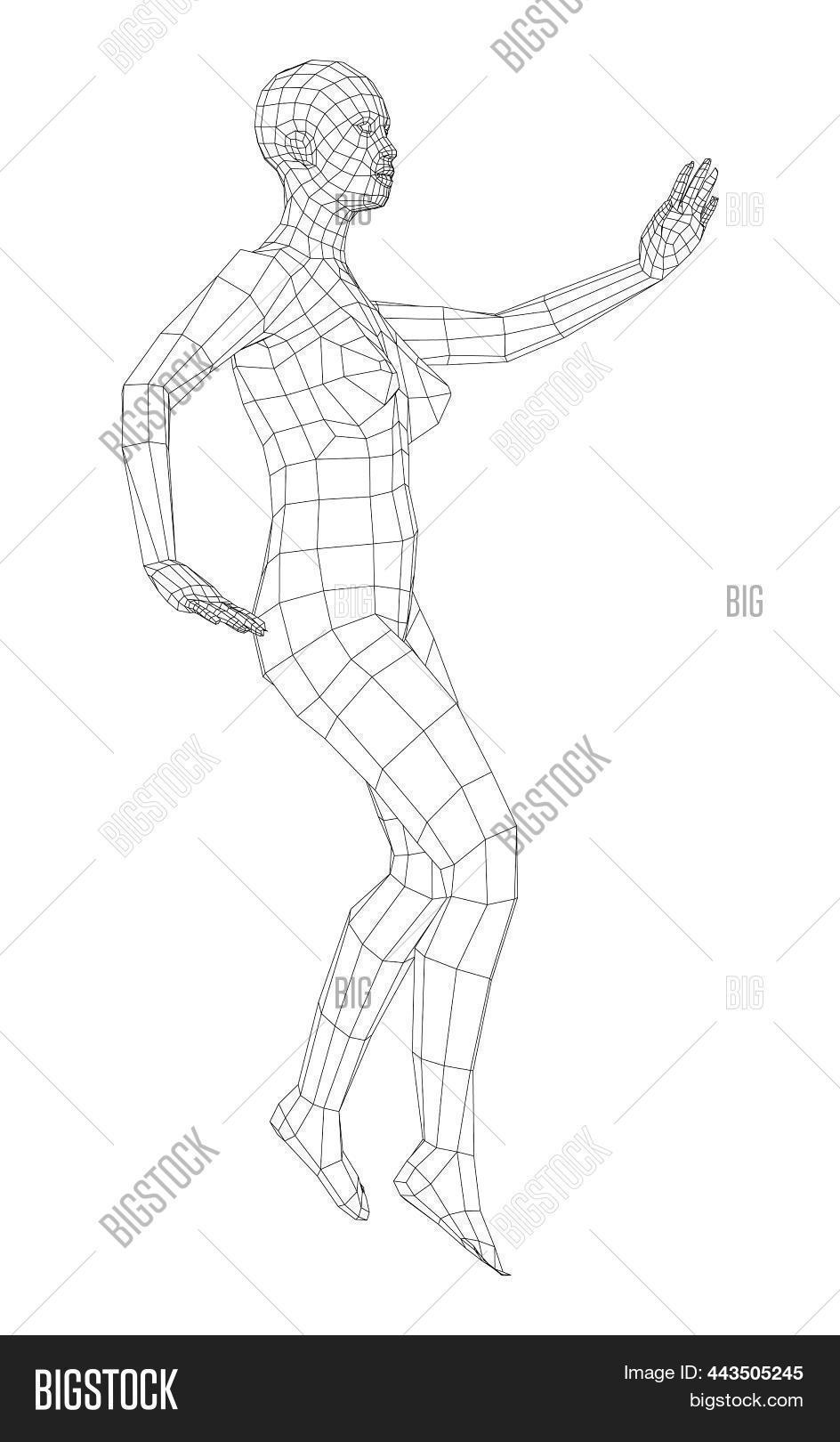 Wireframe Ballerina Image & Photo (Free Trial) | Bigstock