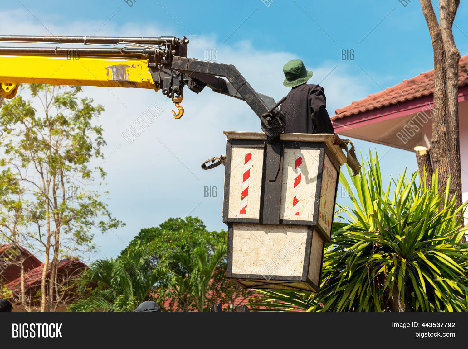 Worker Chainsaw Truck Image & Photo (Free Trial) | Bigstock