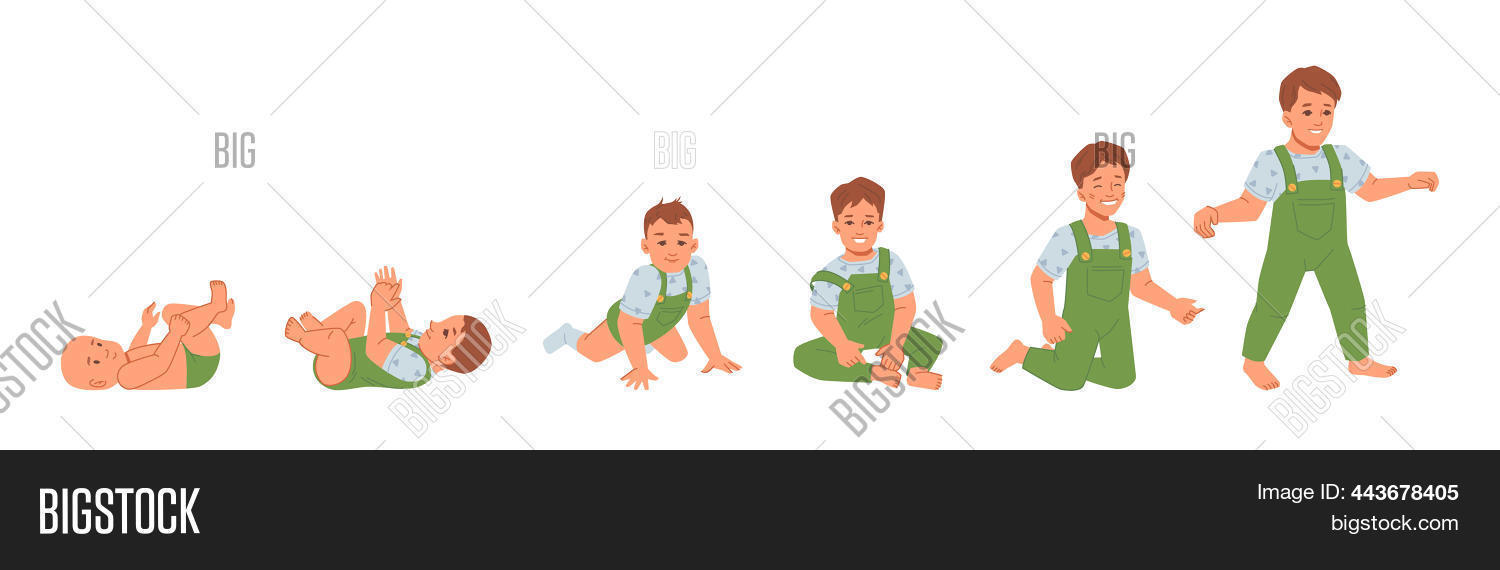 Baby Boy Development Image & Photo (Free Trial) | Bigstock