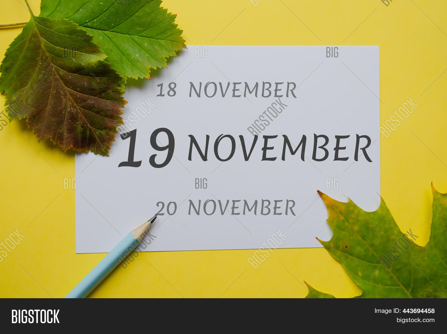 19 November Day Month Image & Photo (Free Trial) | Bigstock