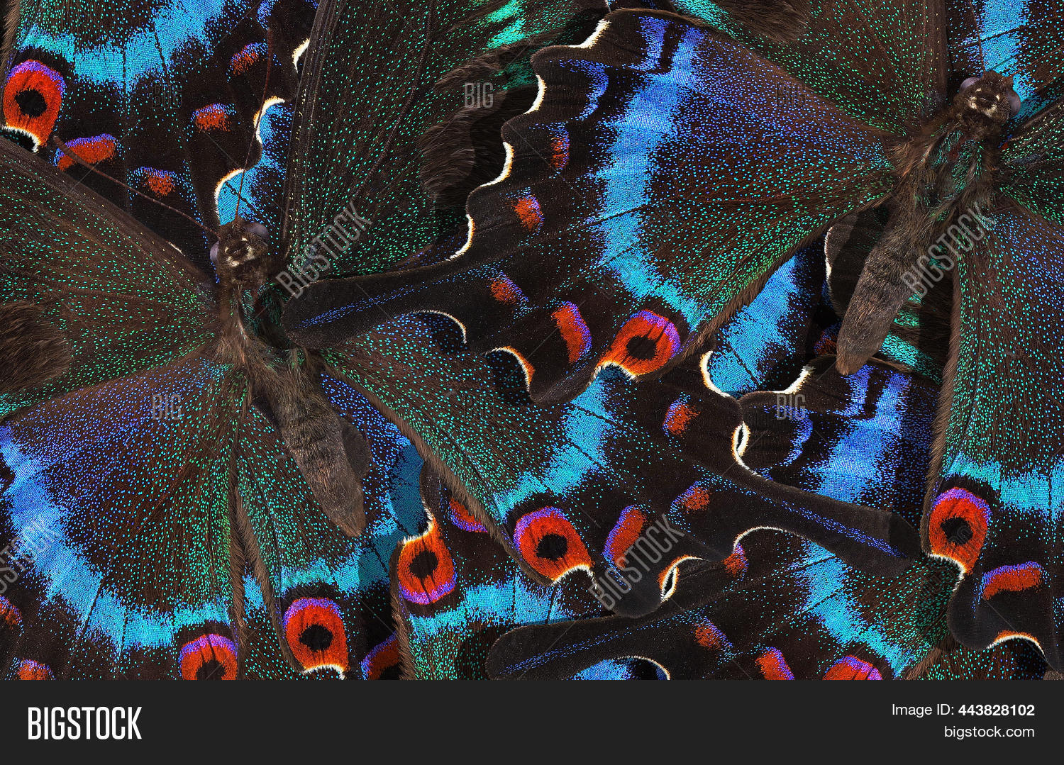 Bright Colorful Image & Photo (Free Trial) | Bigstock