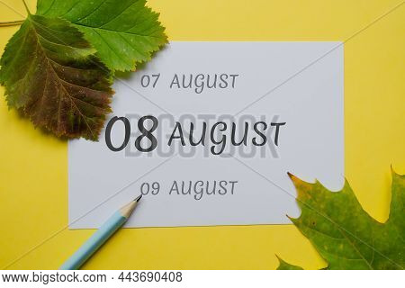 8 August Day Month On Image & Photo (Free Trial) | Bigstock