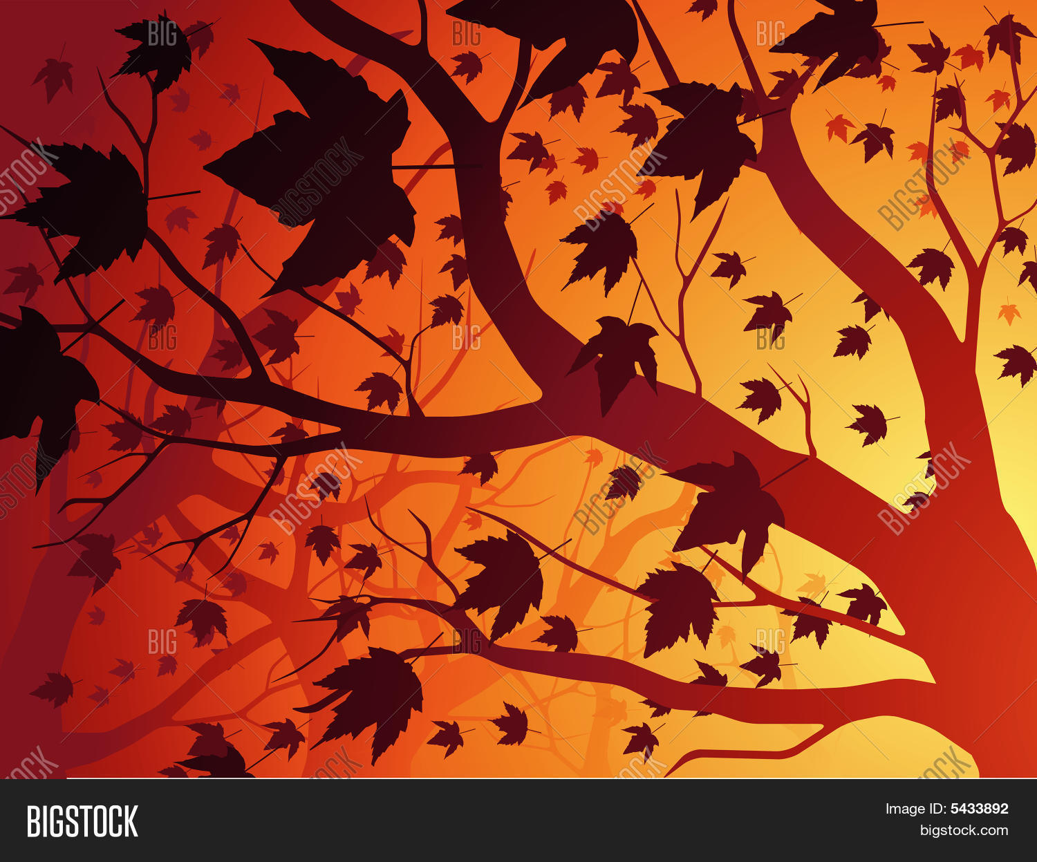 Autumn Maple Vector & Photo (Free Trial) | Bigstock