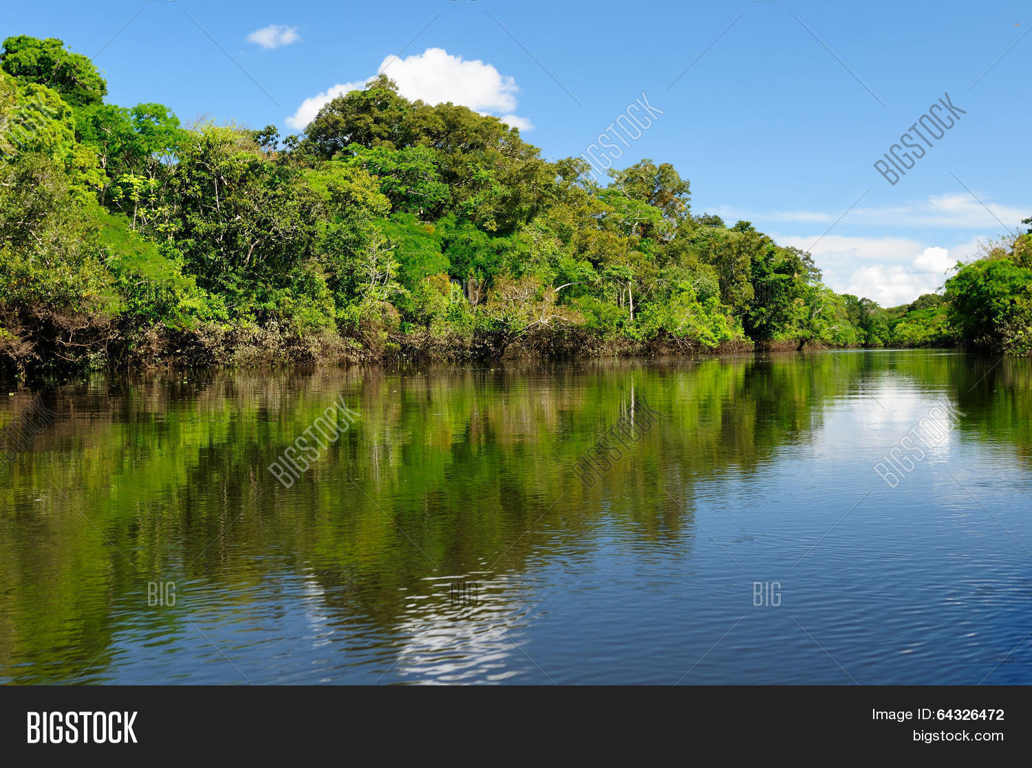 Amazon River Landscape Image & Photo (Free Trial) | Bigstock