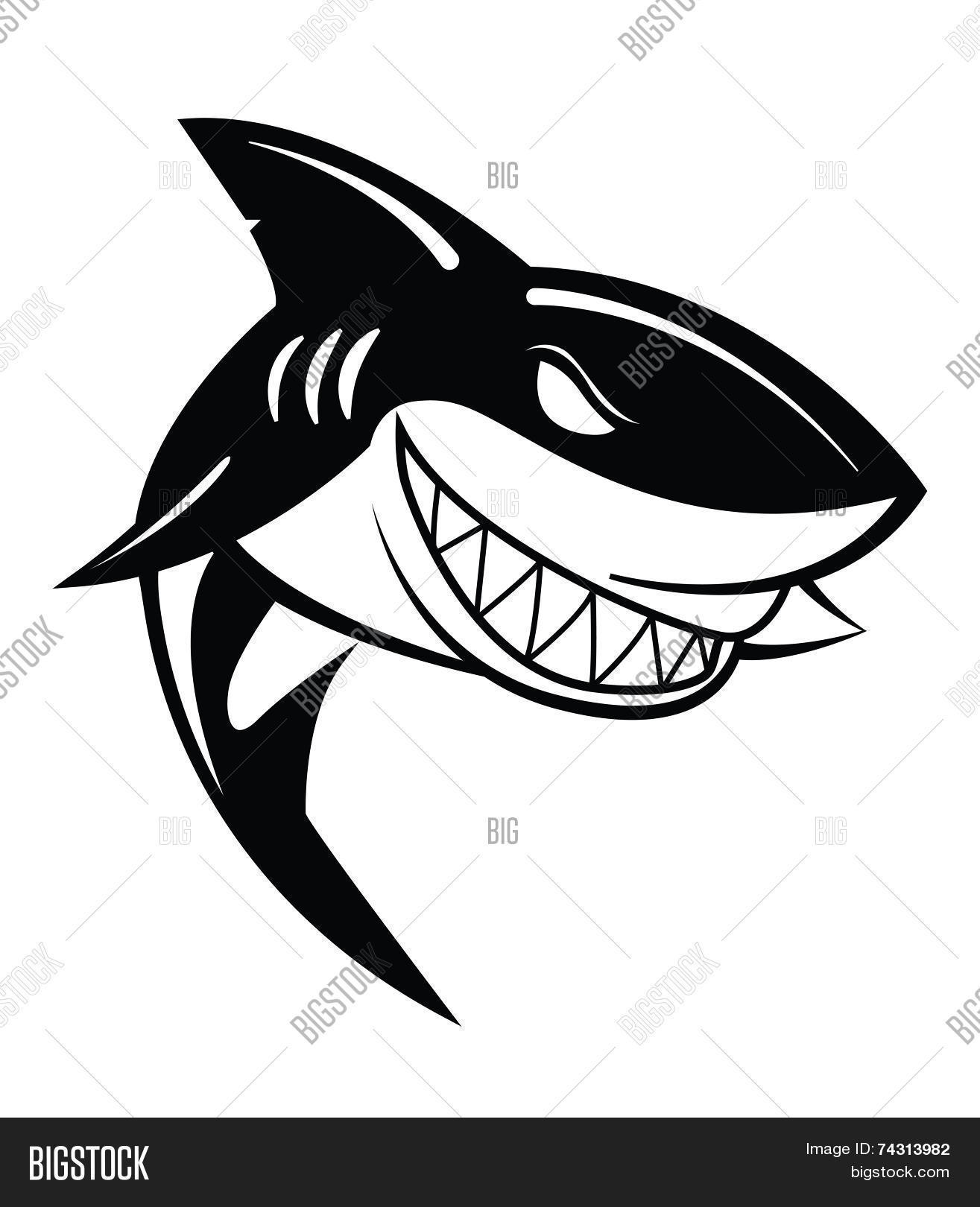 Shark Vector Vector & Photo (Free Trial) | Bigstock