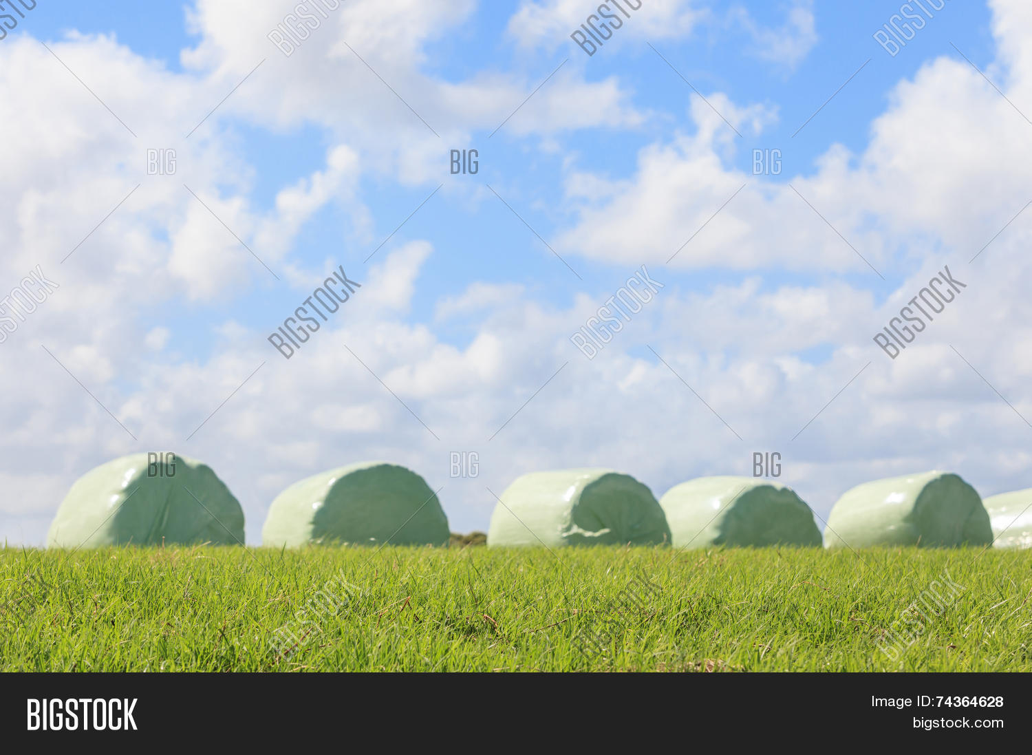 Blurry Scene Silage Image & Photo (Free Trial) | Bigstock