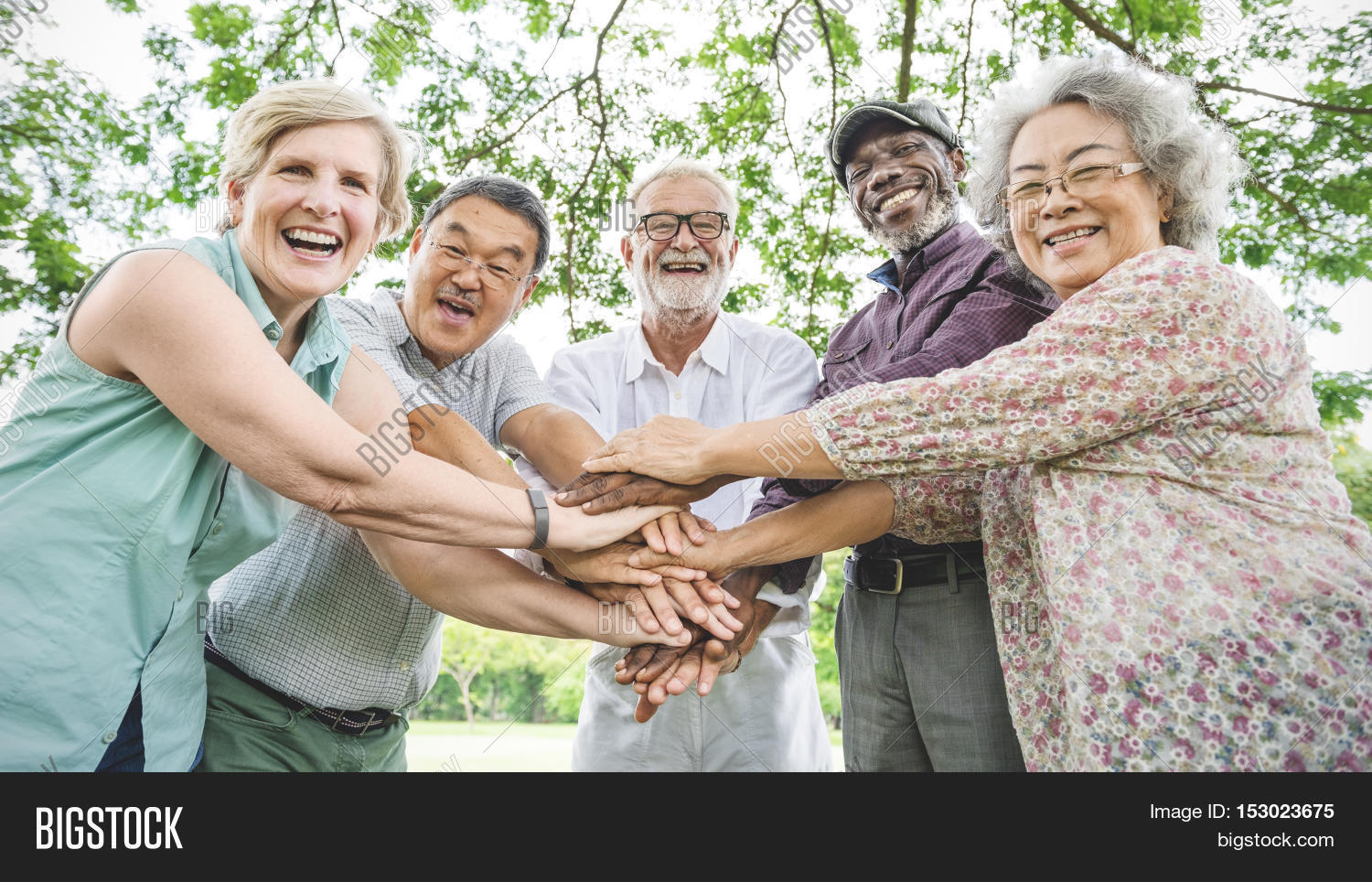 Group Senior Image & Photo (Free Trial) | Bigstock