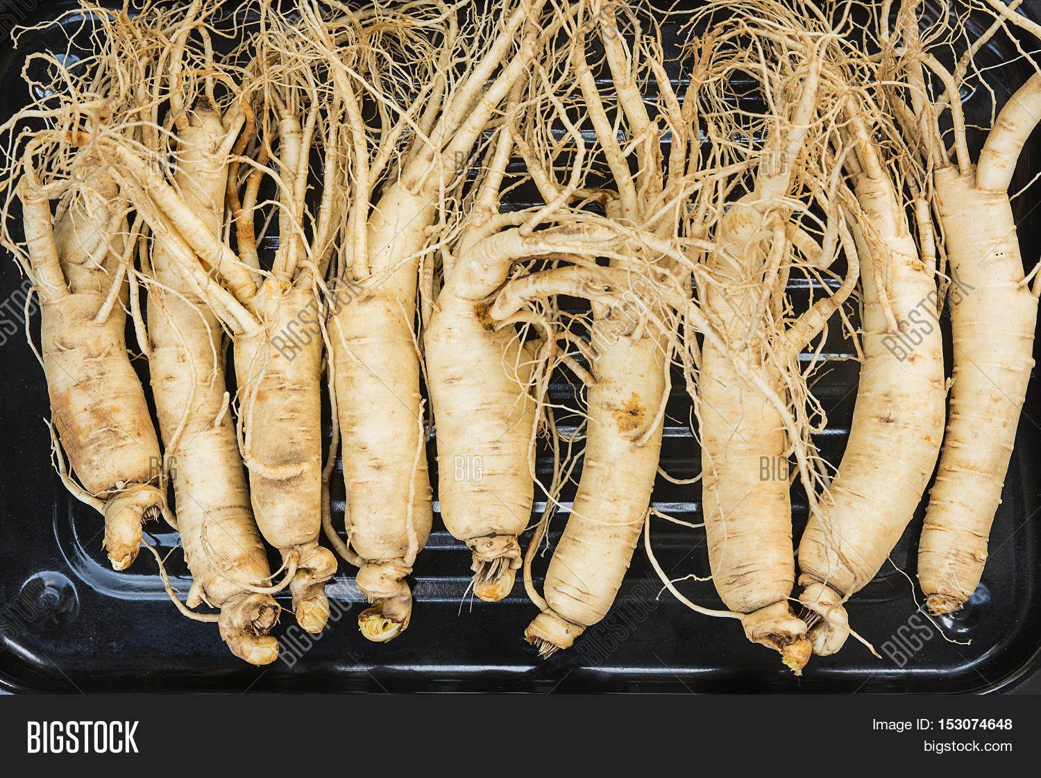 Top View Dry Ginseng Image & Photo (Free Trial) | Bigstock