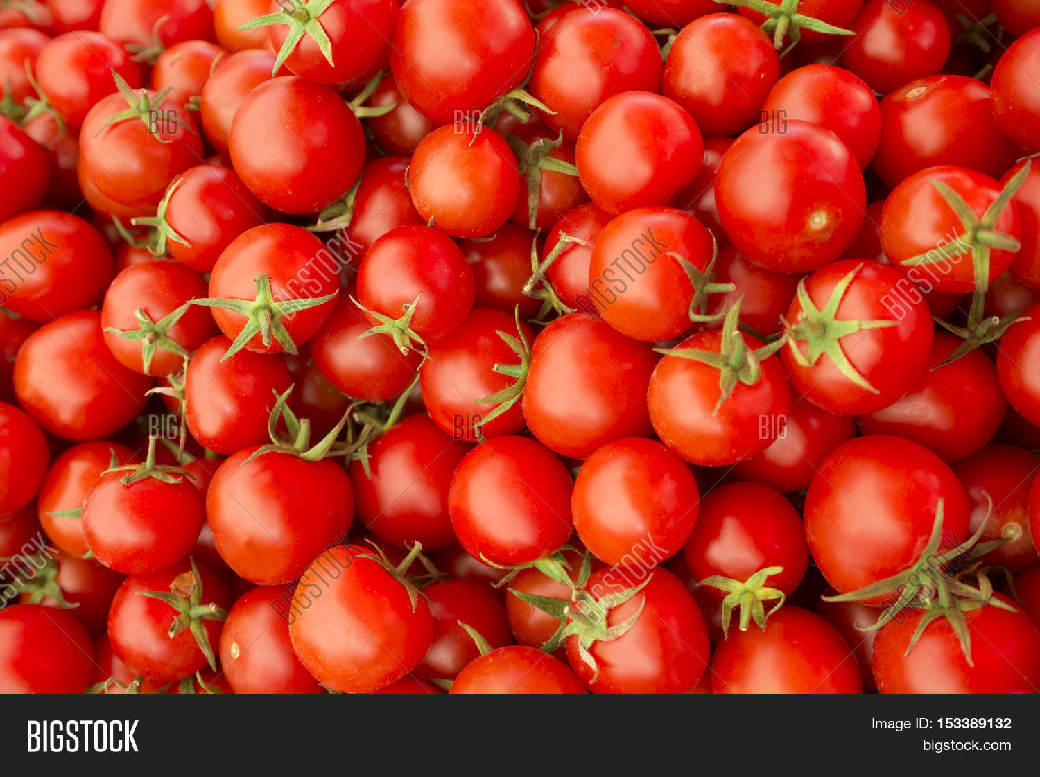 Delicious Red Tomatoes Image & Photo (Free Trial) | Bigstock