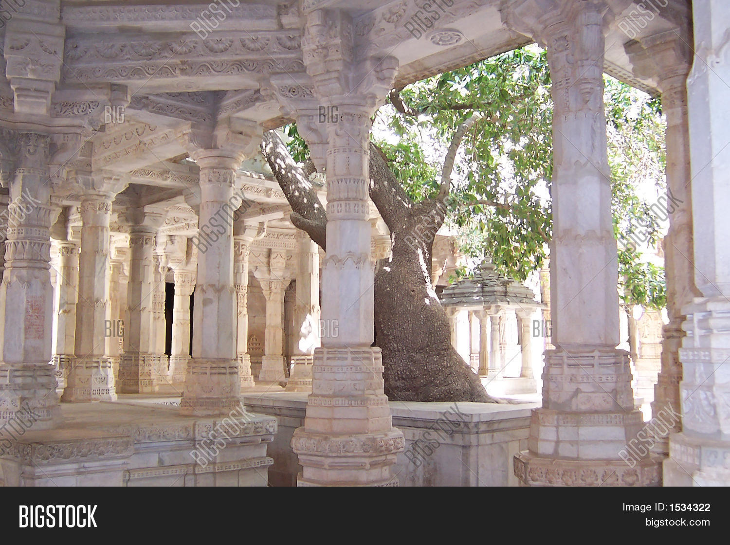 Column Marble Jain Image & Photo (Free Trial) | Bigstock