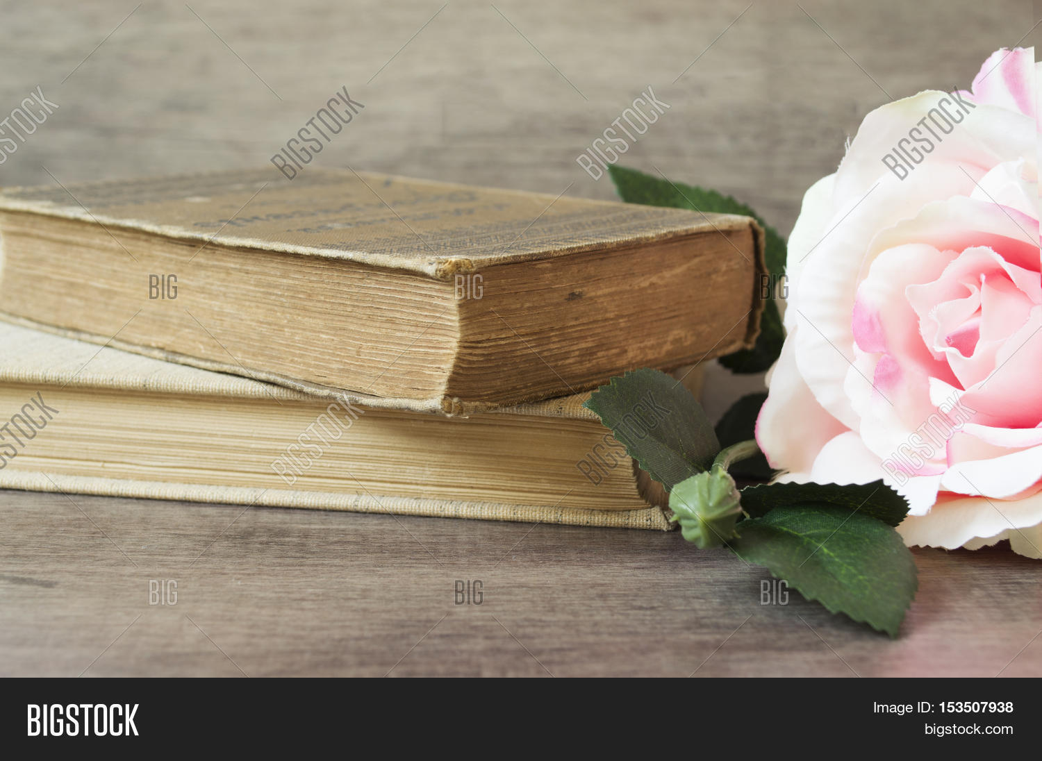 Antique Books And Flowers