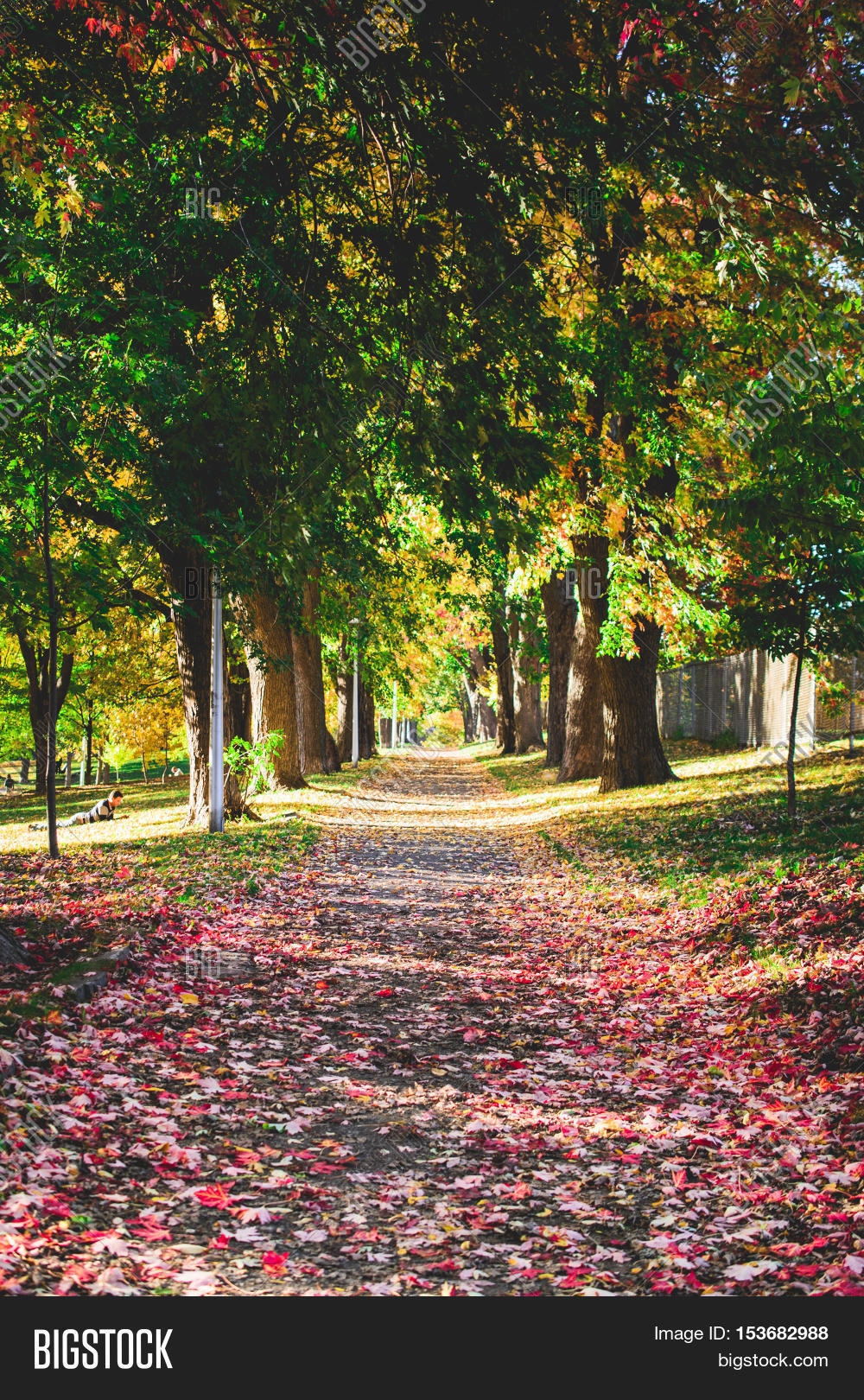 Beautiful Fall Season Image & Photo (Free Trial) | Bigstock