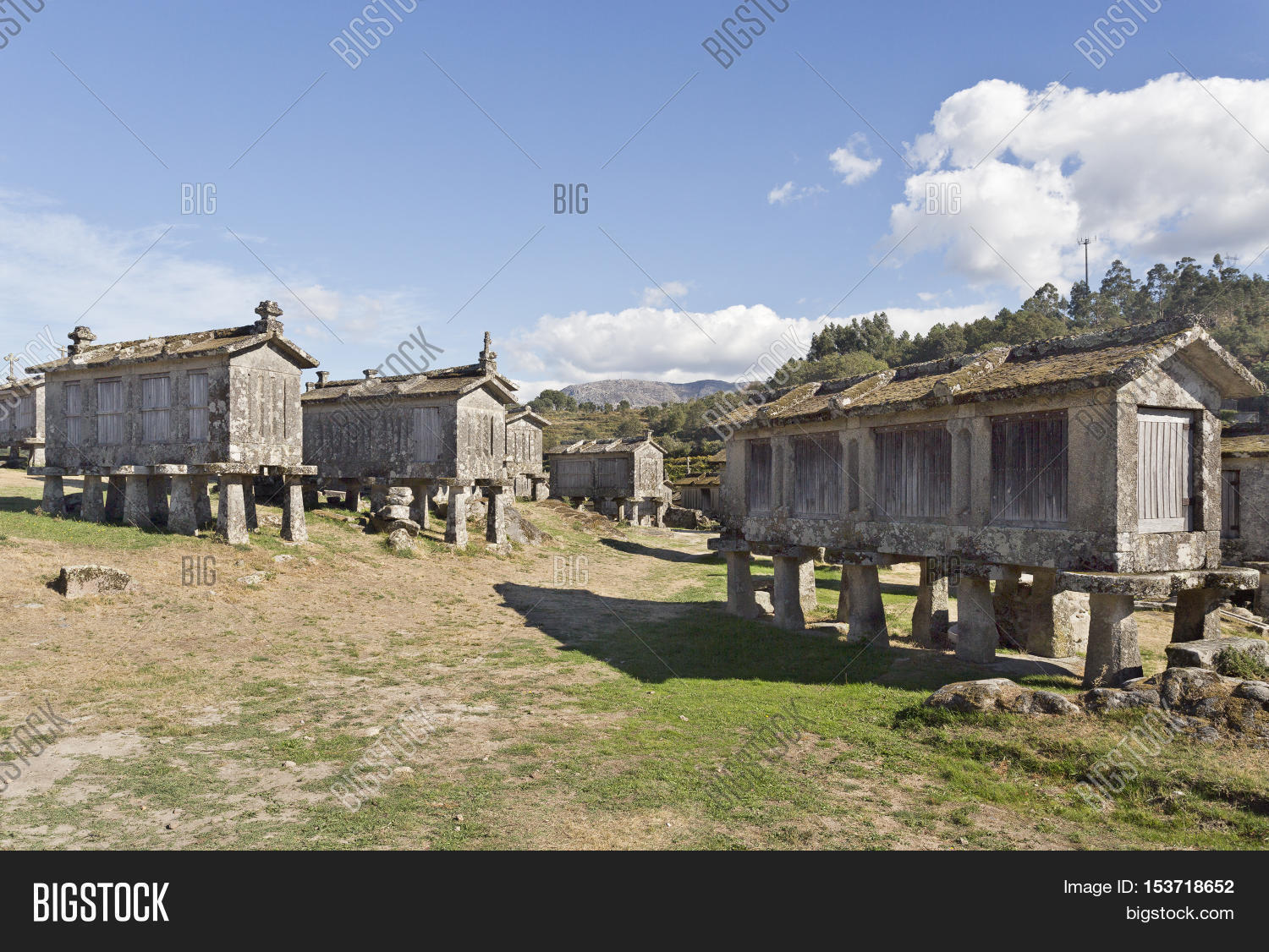 Detail Communitarian Image & Photo (Free Trial) | Bigstock