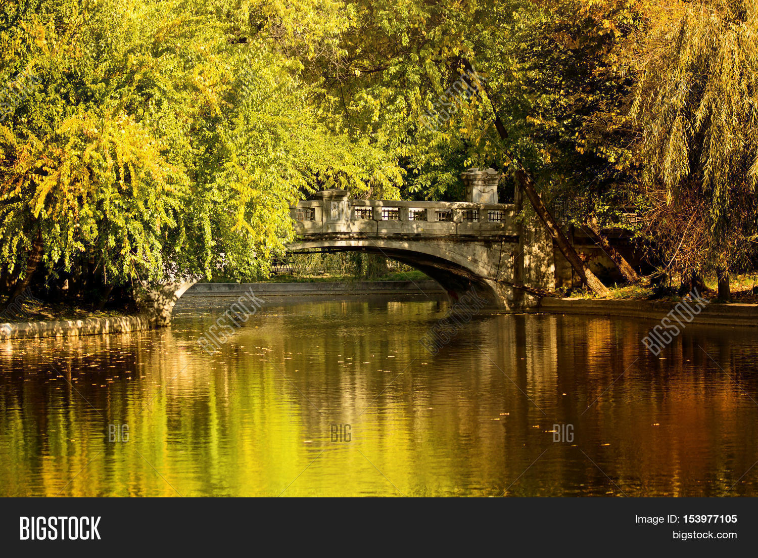 Autumn Bucharest. Lake Image & Photo (Free Trial) | Bigstock