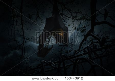 Bat Scream Hang On Image & Photo (Free Trial) | Bigstock